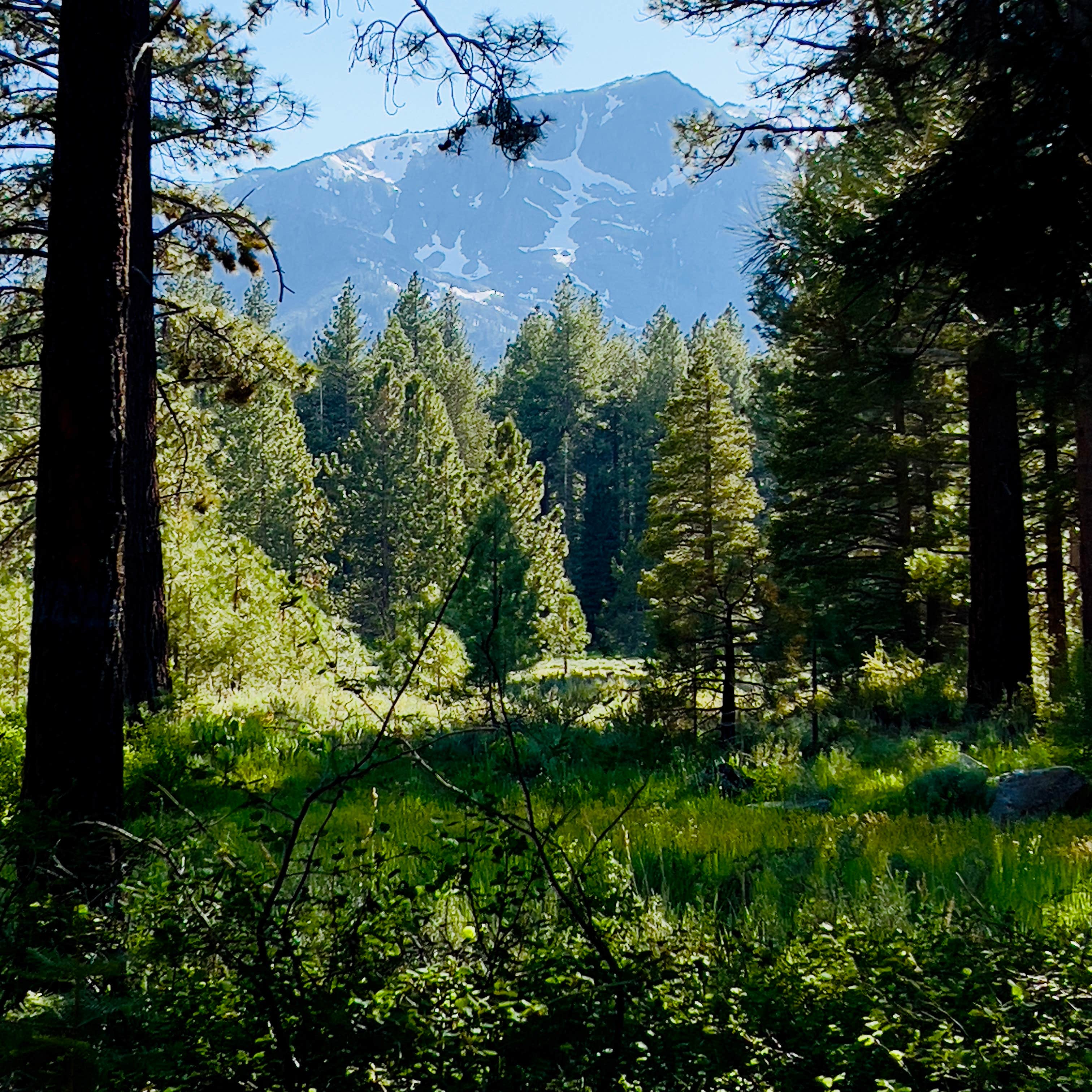 Fallen Leaf Campground - South Lake Tahoe | South Lake Tahoe, California