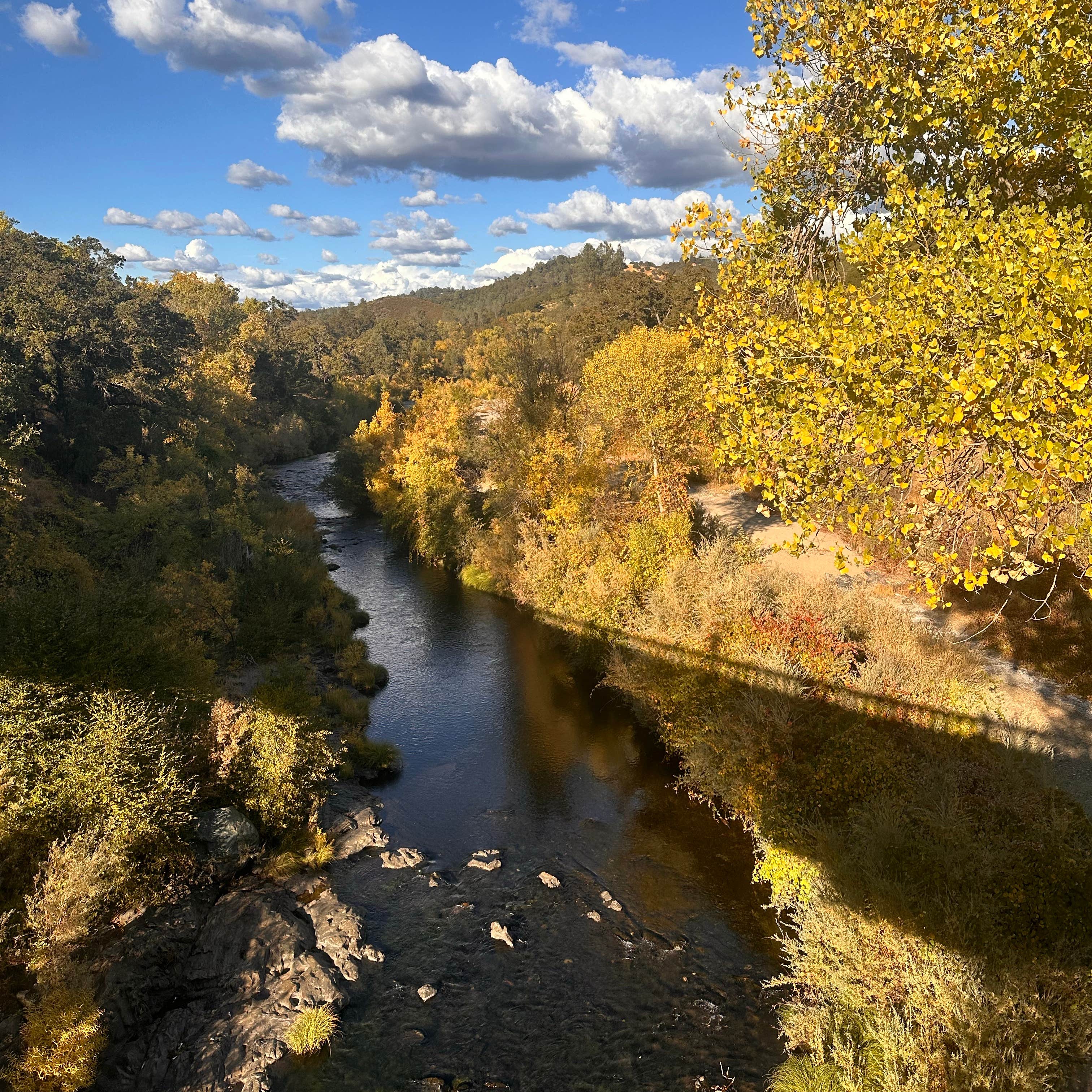 Beals Point Campground — Folsom Lake State Recreation Area | Granite ...