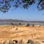Beals Point Campground — Folsom Lake State Recreation Area | Granite ...