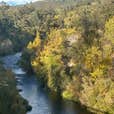 Beals Point Campground — Folsom Lake State Recreation Area | Granite ...