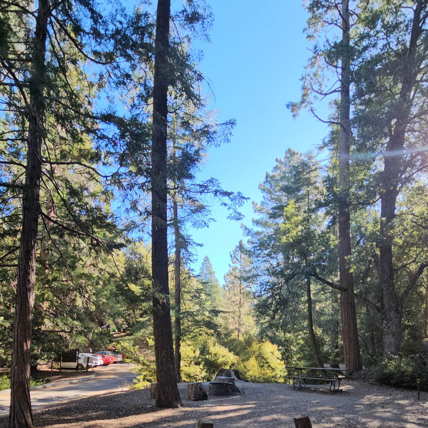 Fry Creek Campground | Palomar Mountain, California