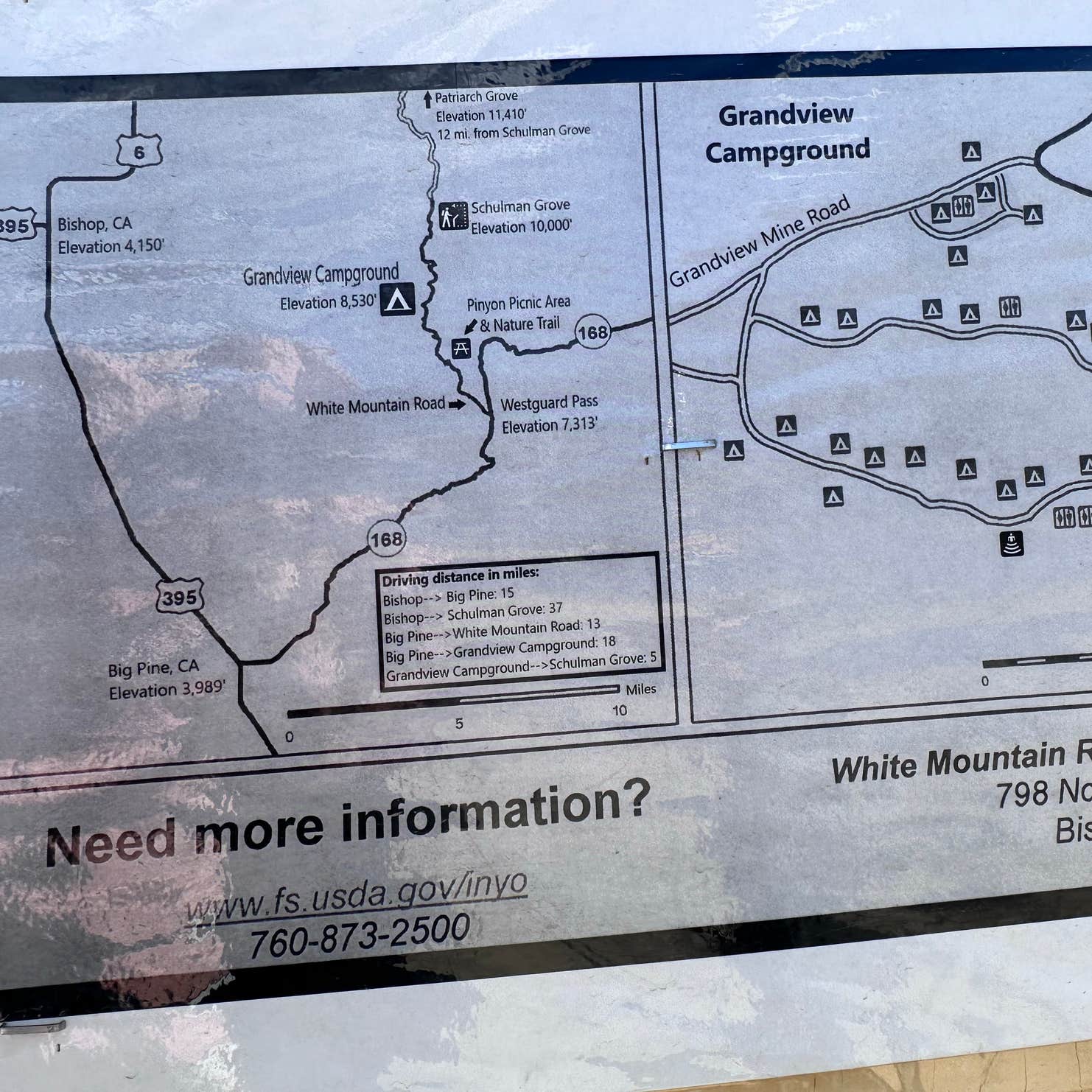 Grandview Campground | Bishop, California