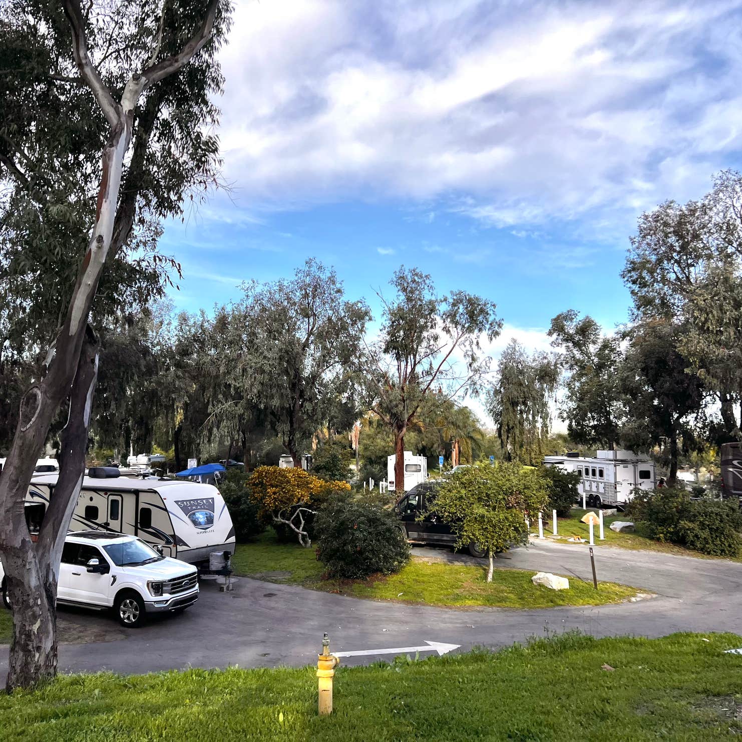 Guajome Regional Park Camping | Oceanside, CA
