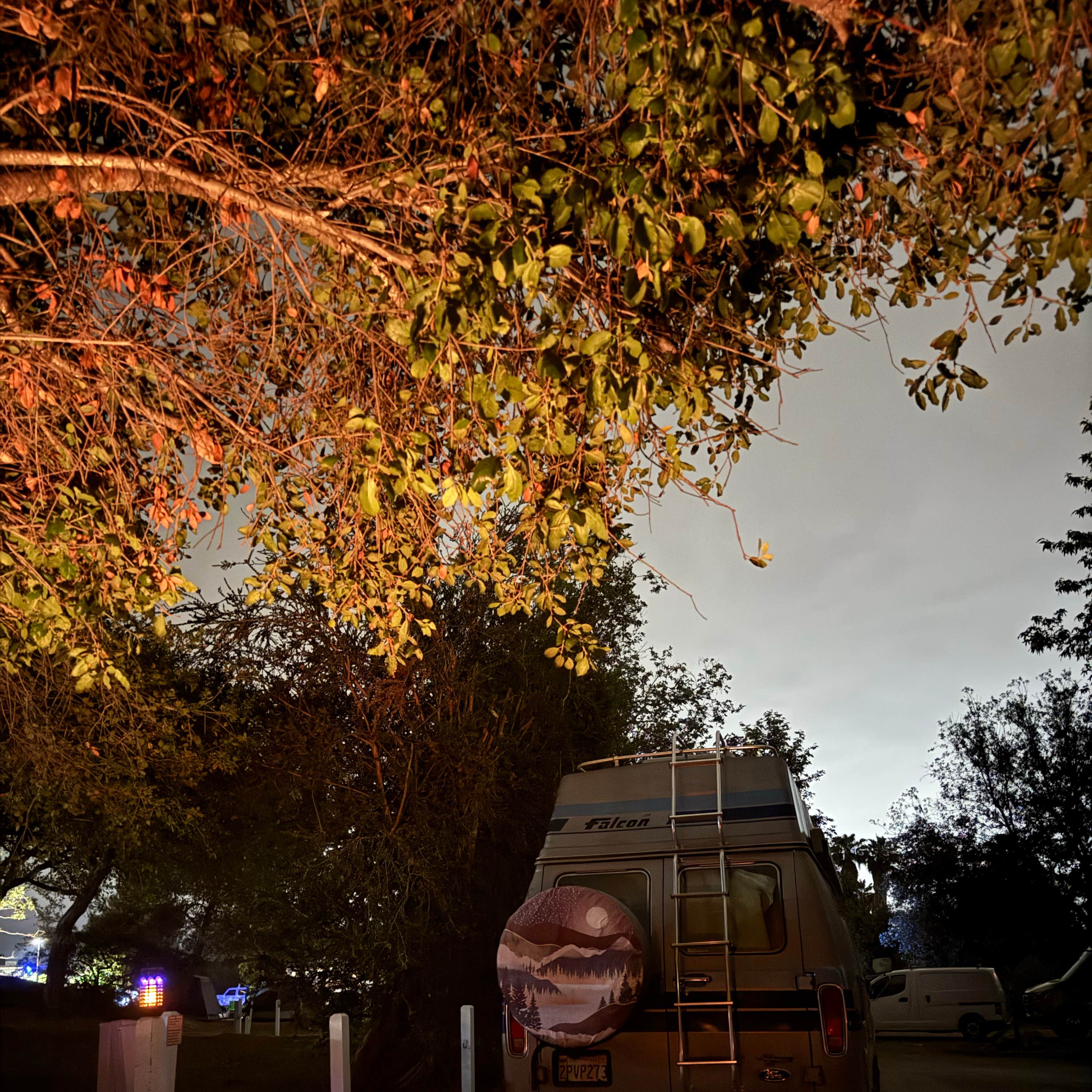 Guajome Regional Park Camping | Oceanside, California