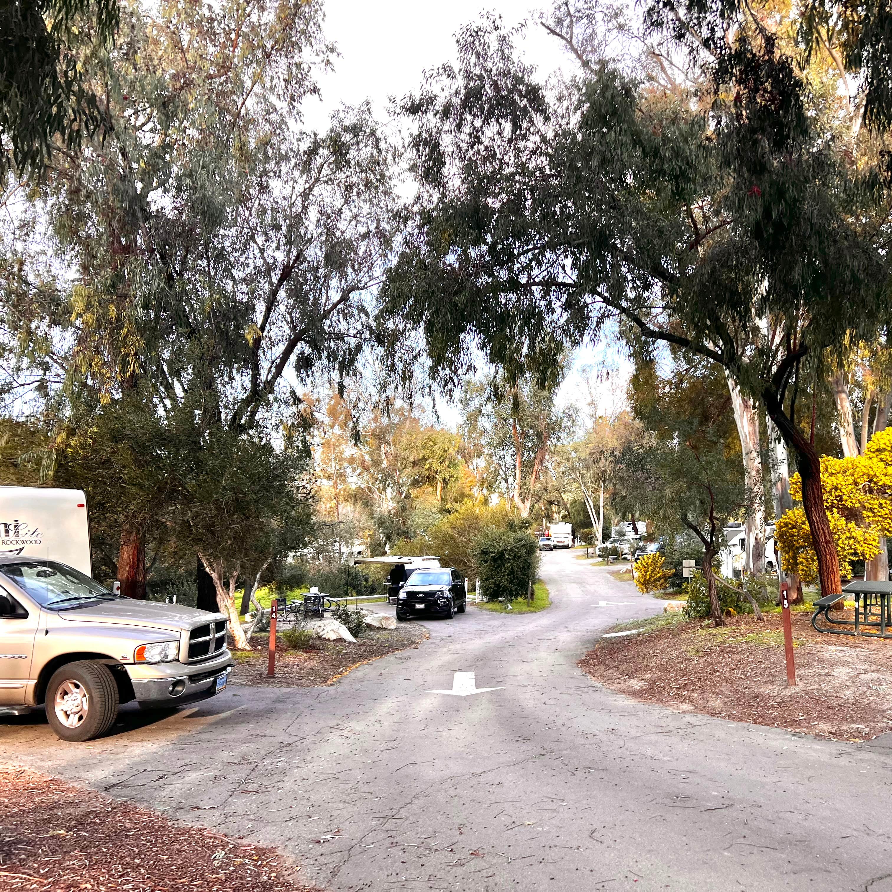 Guajome Regional Park Camping | Oceanside, California