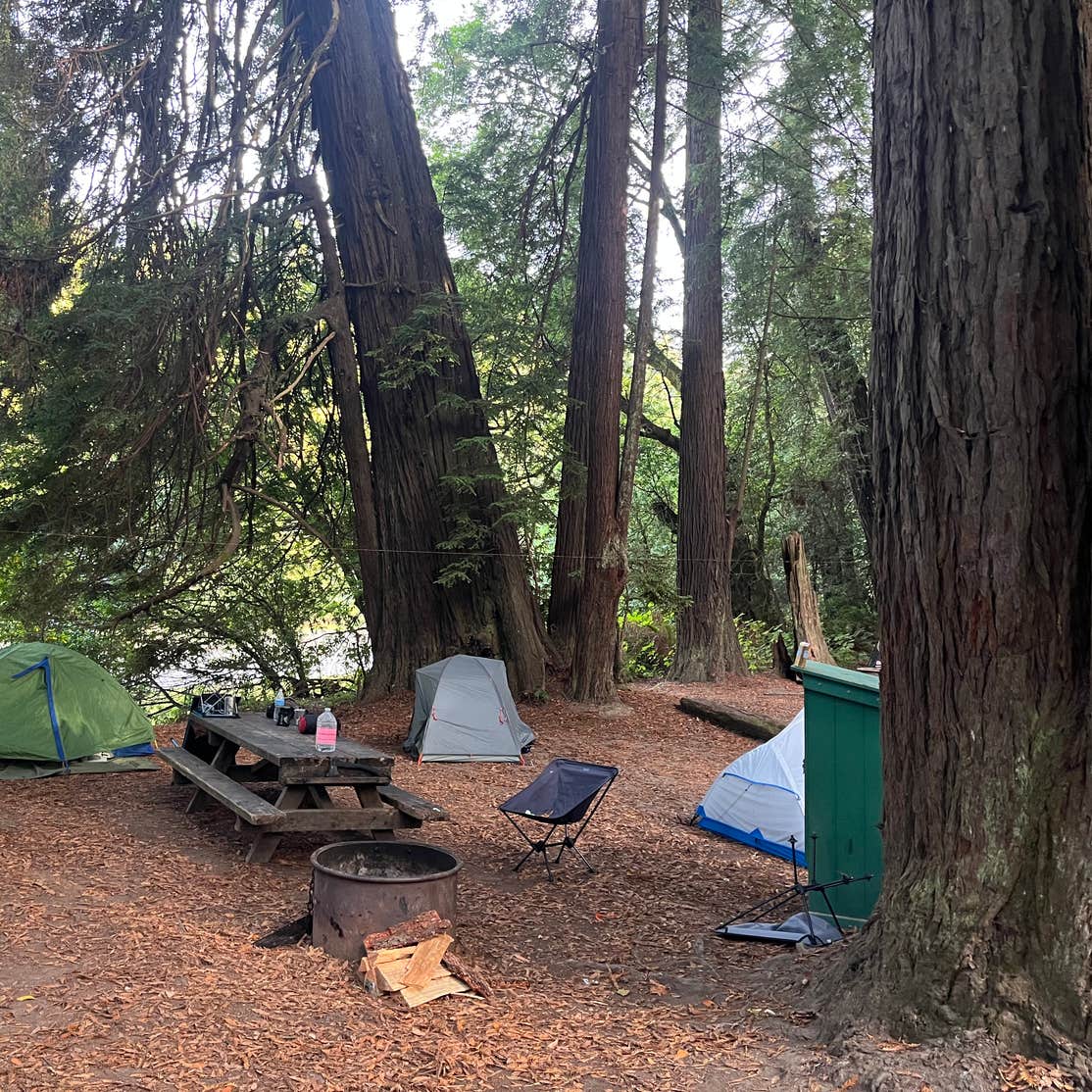 Gualala Point Regional Park Camping | Gualala, California