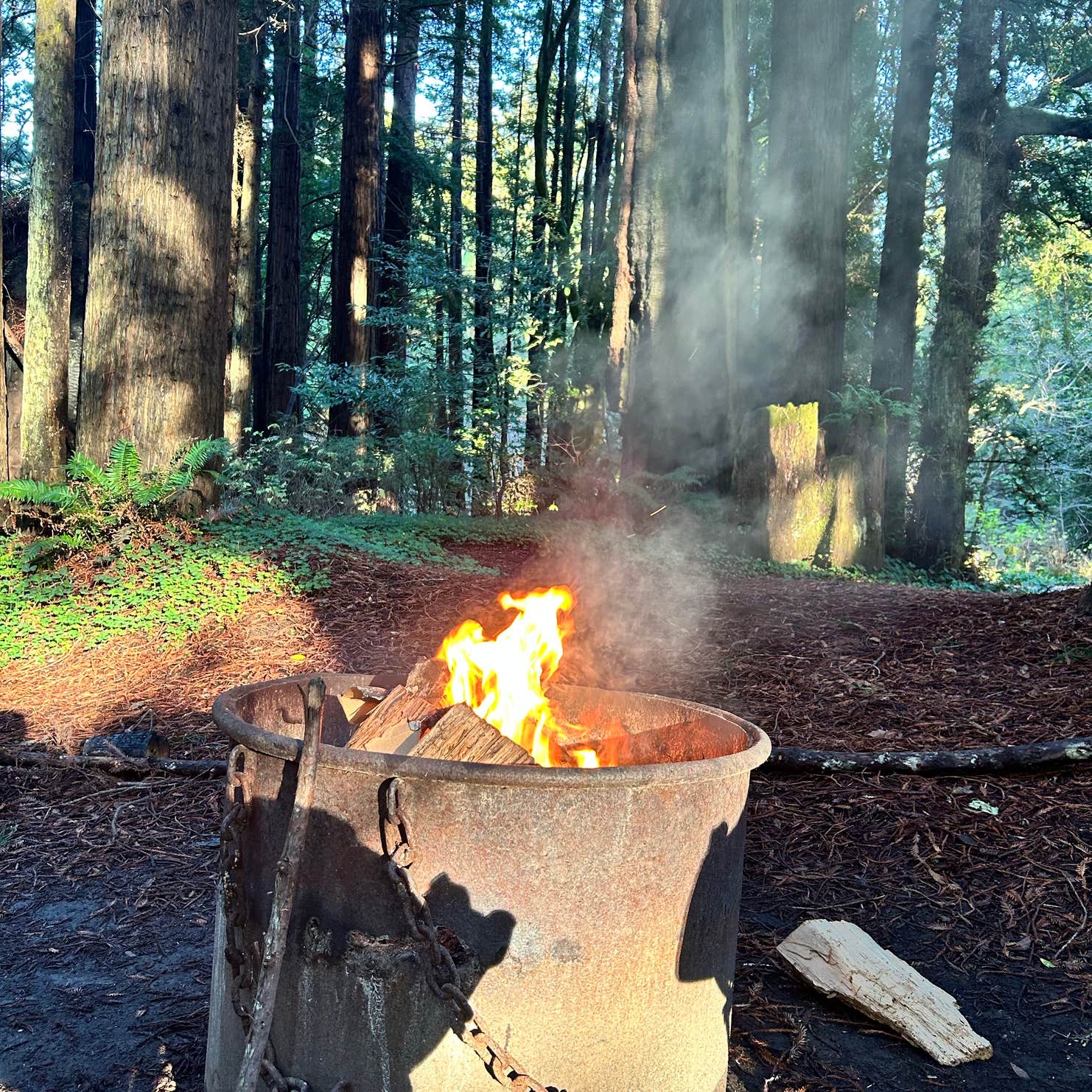 Gualala Point Regional Park Camping | Gualala, CA