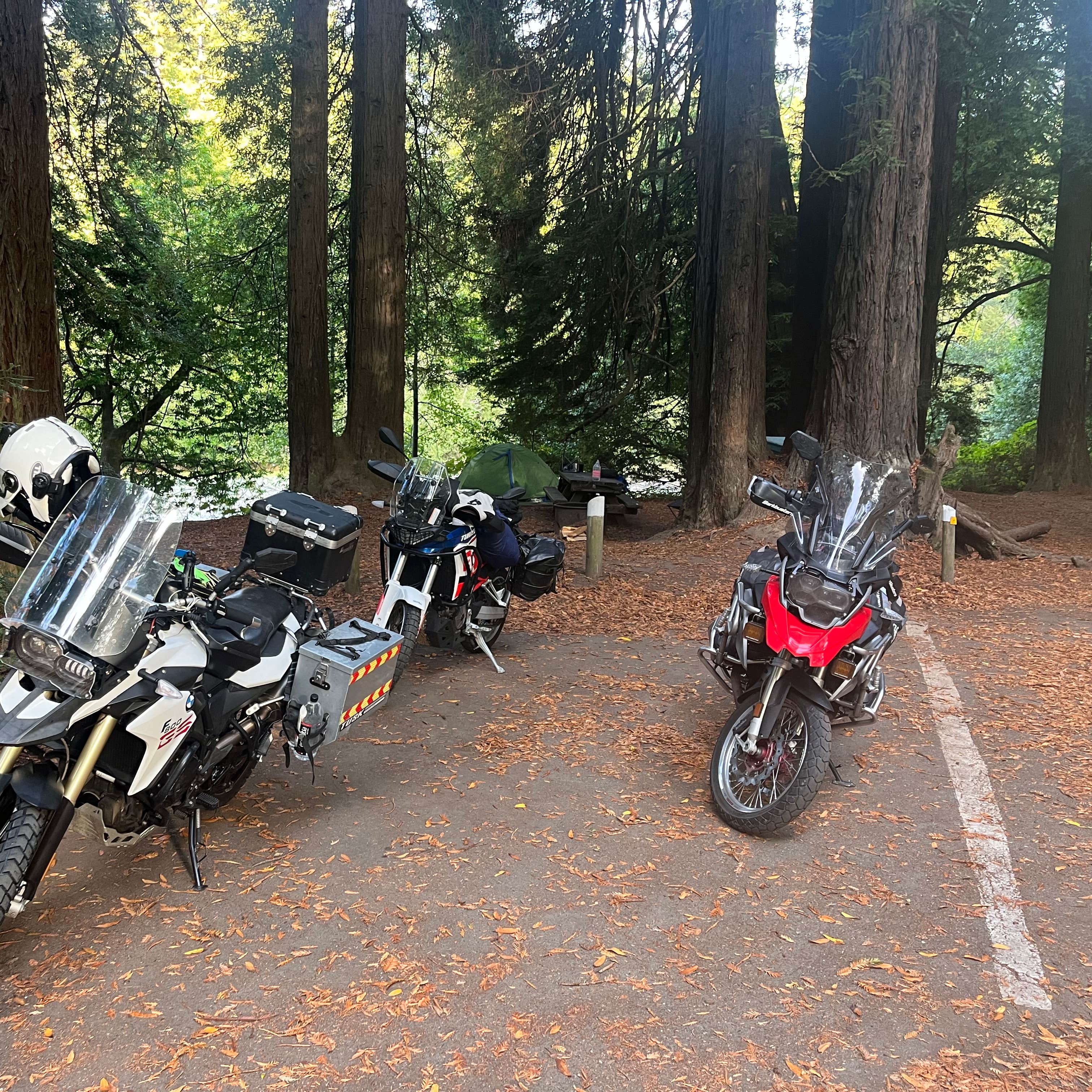 Gualala Point Regional Park Camping | Gualala, California