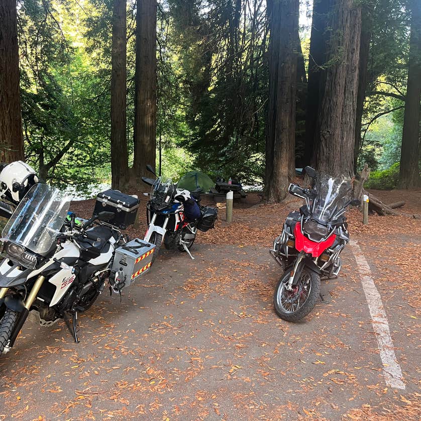 Gualala Point Regional Park Camping | Gualala, California