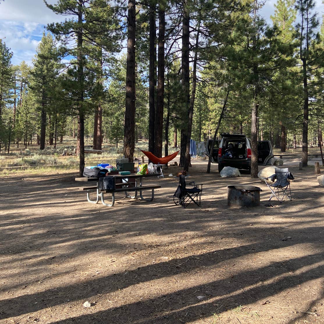 Holcomb Valley Campground | Fawnskin, CA