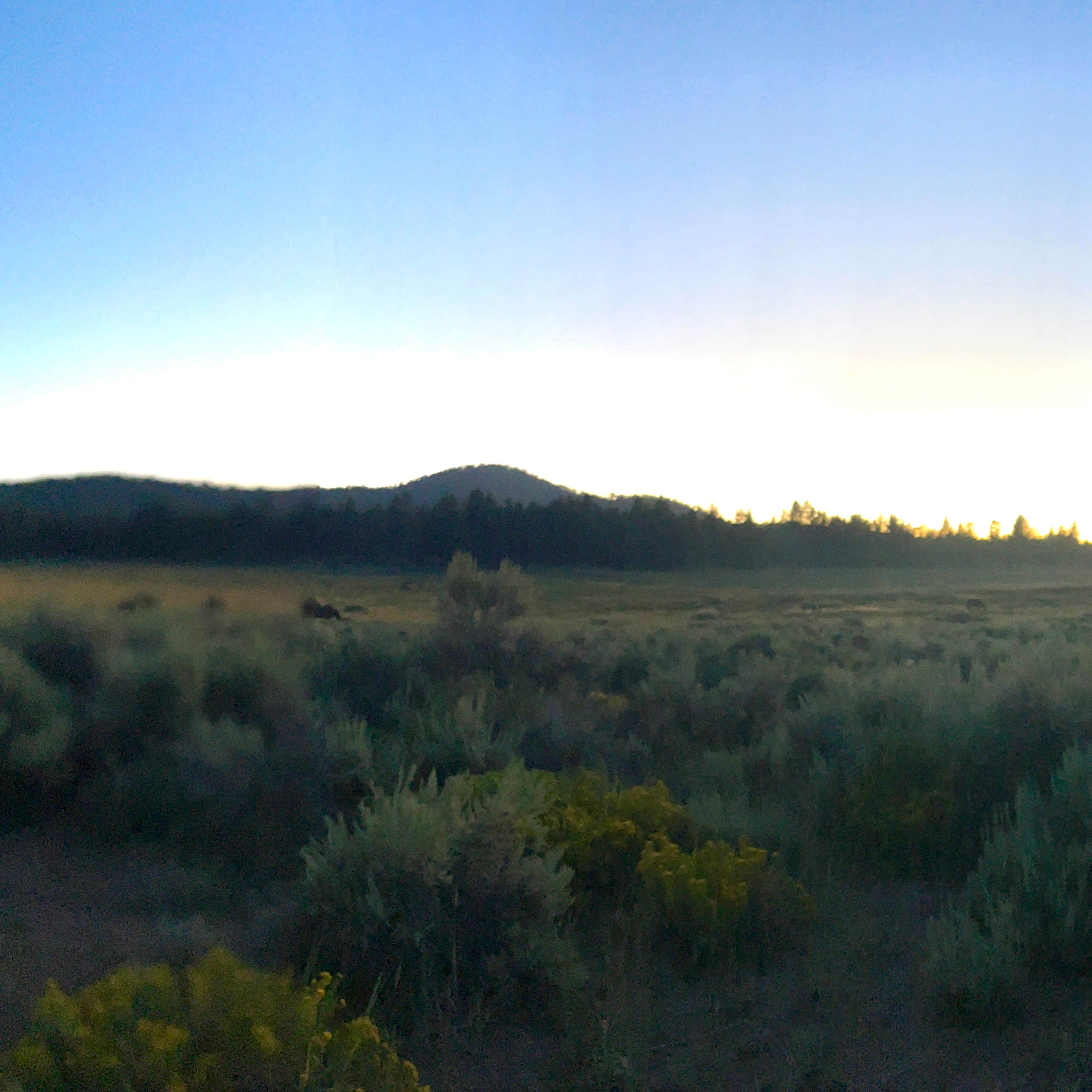 Holcomb Valley Campground | Fawnskin, California