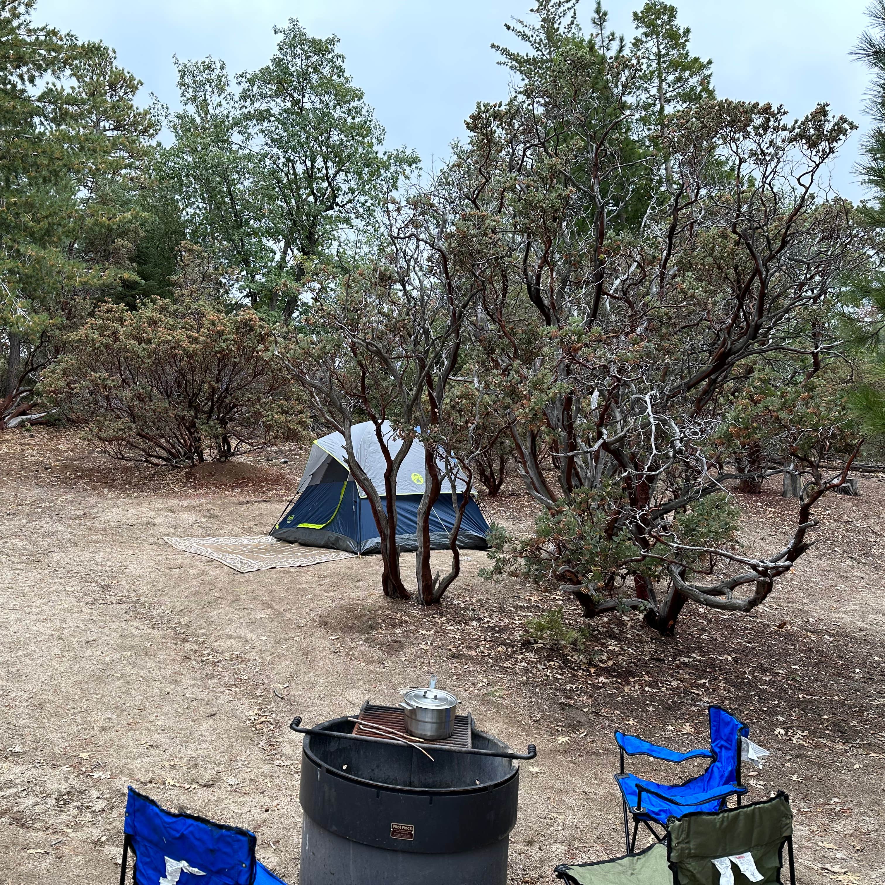 Idyllwild Campground — Mount San Jacinto State Park | Idyllwild, California