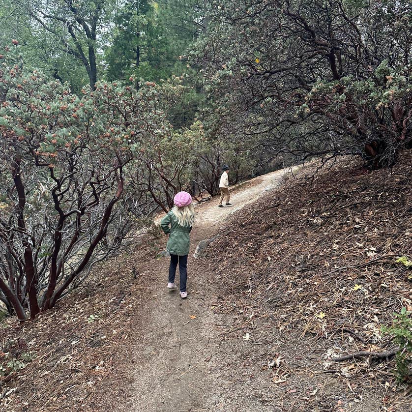 Idyllwild Campground — Mount San Jacinto State Park | Idyllwild, California