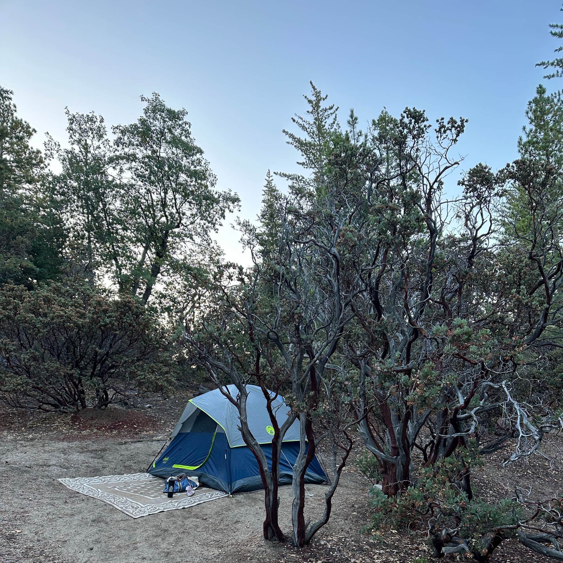 Idyllwild Campground — Mount San Jacinto State Park | Idyllwild, California