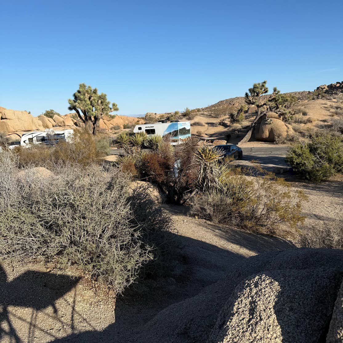 Jumbo Rocks Campground — Joshua Tree National Park | Twentynine Palms ...