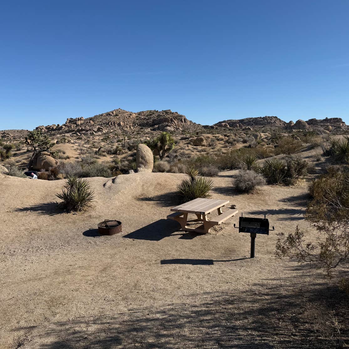 Jumbo Rocks Campground — Joshua Tree National Park | Twentynine Palms ...