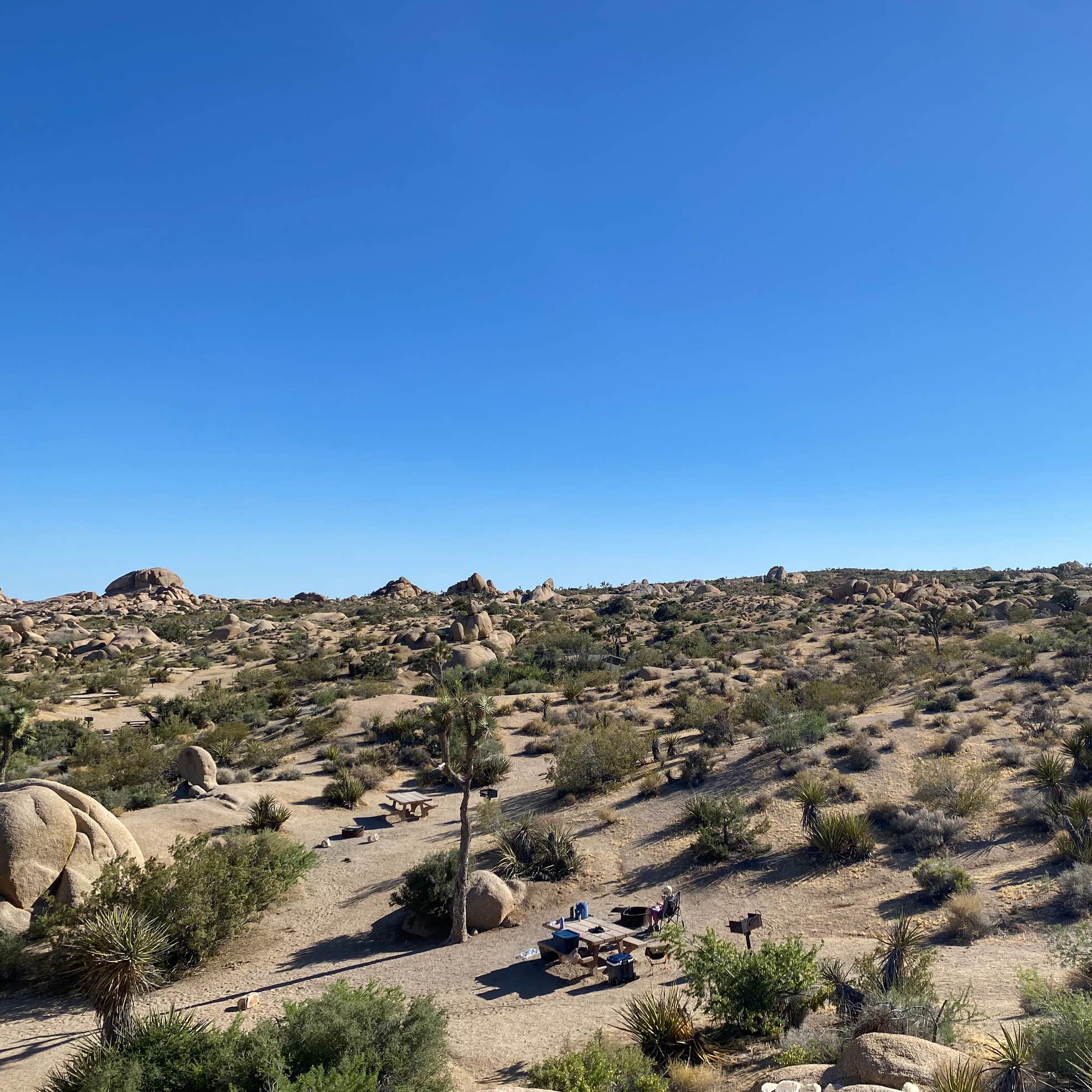 Jumbo Rocks Campground — Joshua Tree National Park | Twentynine palms, CA