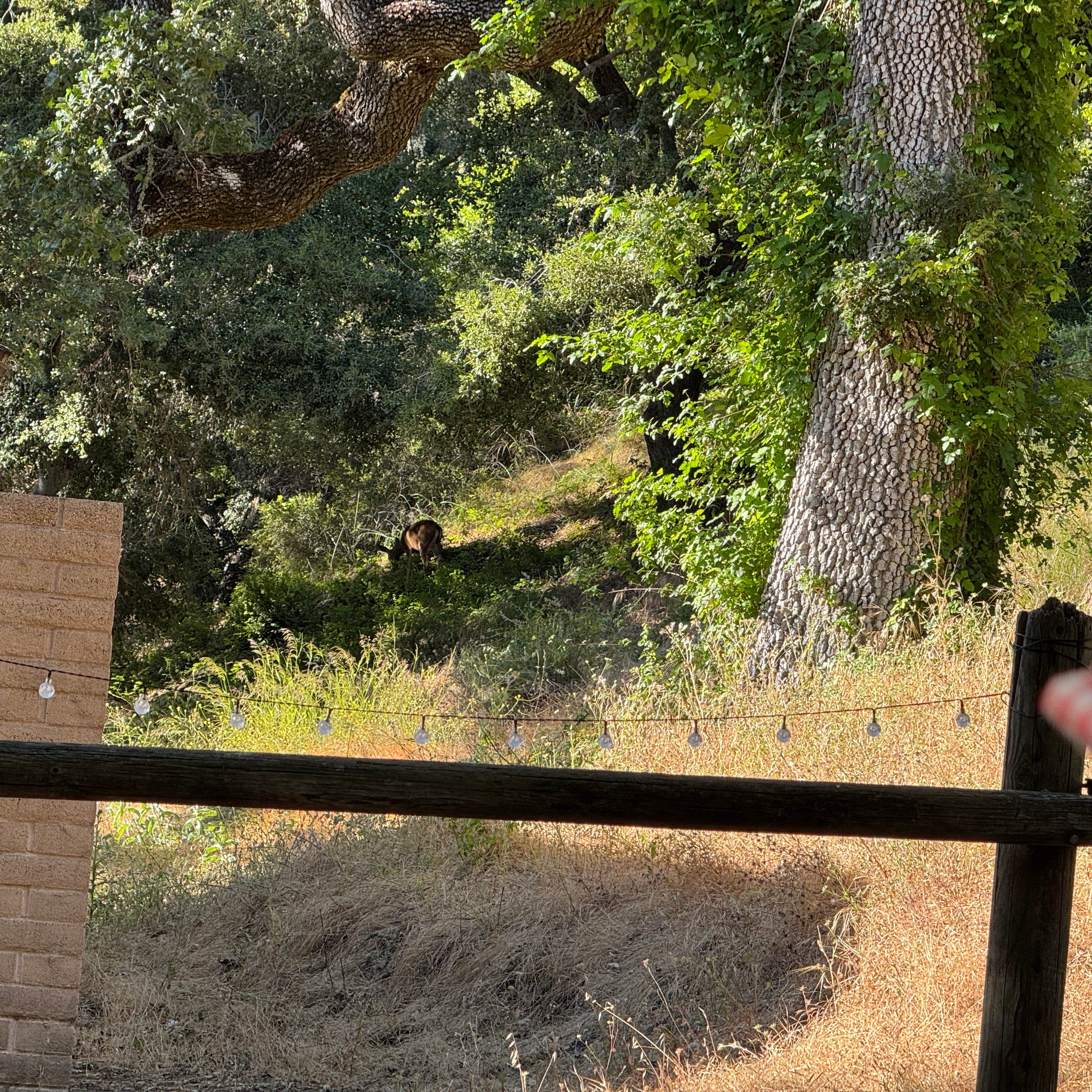 Lopez Lake Recreation Area Camping | Arroyo Grande, California