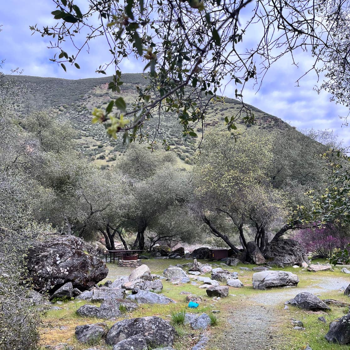 McCabe Flat Campground | Midpines, California