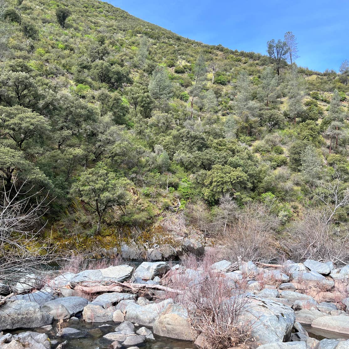 McCabe Flat Campground | Midpines, California