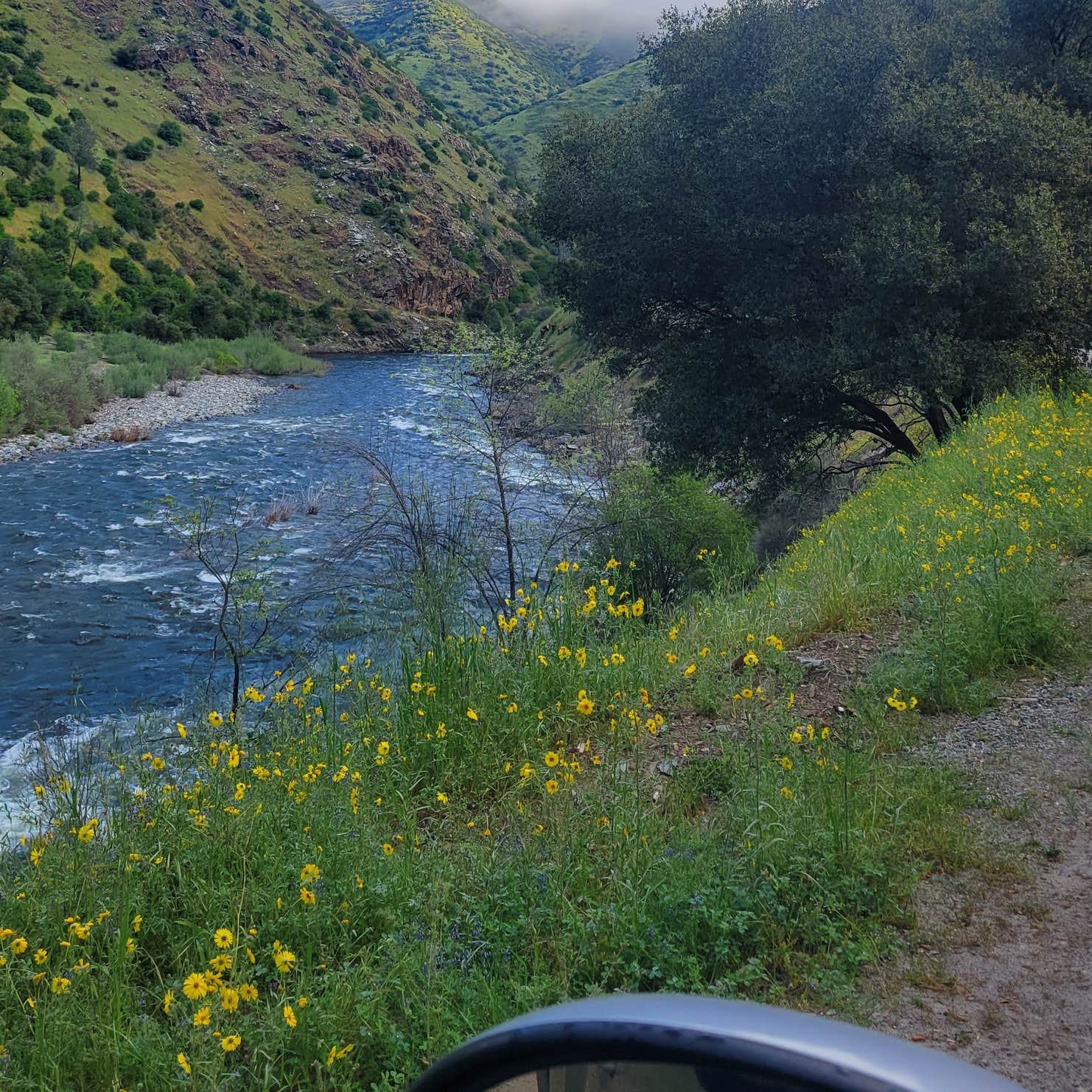 McCabe Flat Campground | Midpines, California