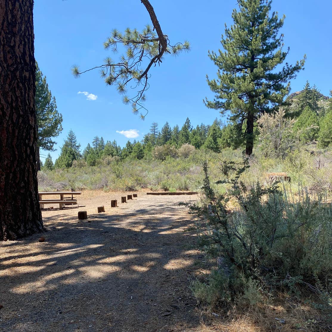 Meadow View Equestrian Campground | Doyle, California