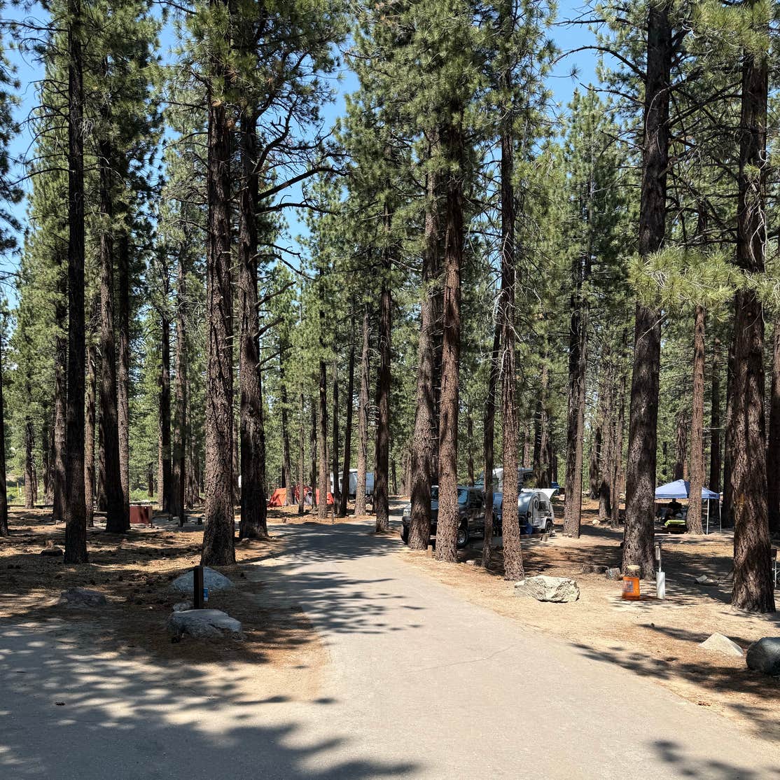 New Shady Rest Campground | Mammoth Lakes, California