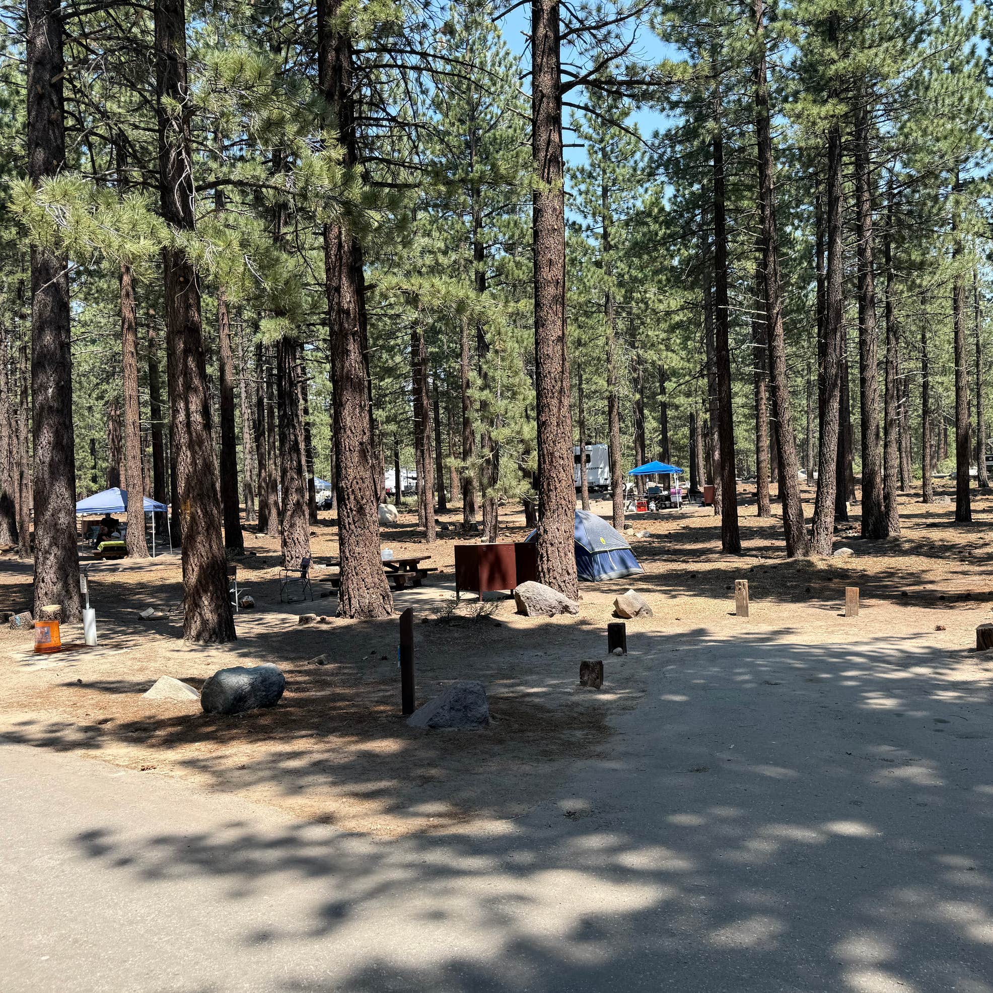 New Shady Rest Campground | Mammoth Lakes, California
