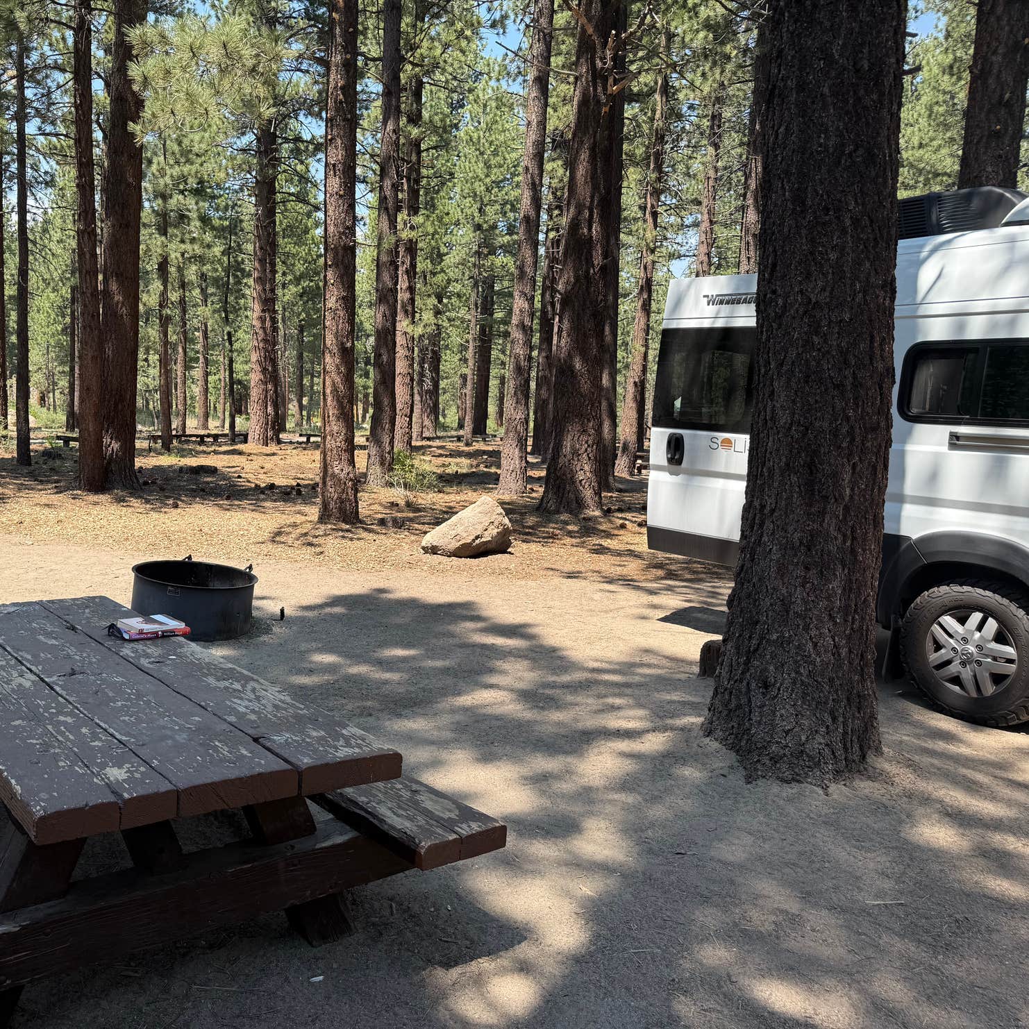 New Shady Rest Campground | Mammoth Lakes, California