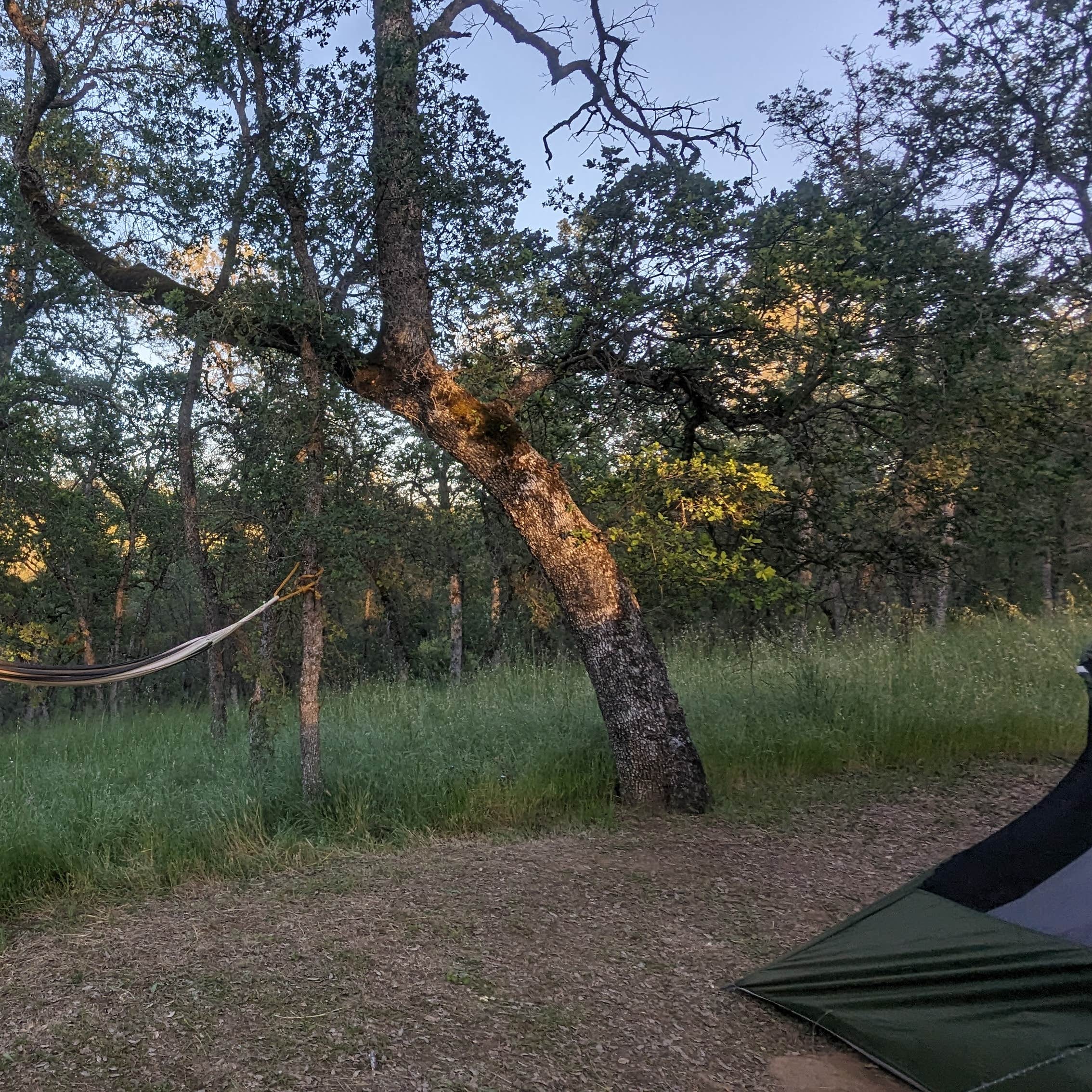 Peninsula Campground — Folsom Lake State Recreation Area Granite Bay