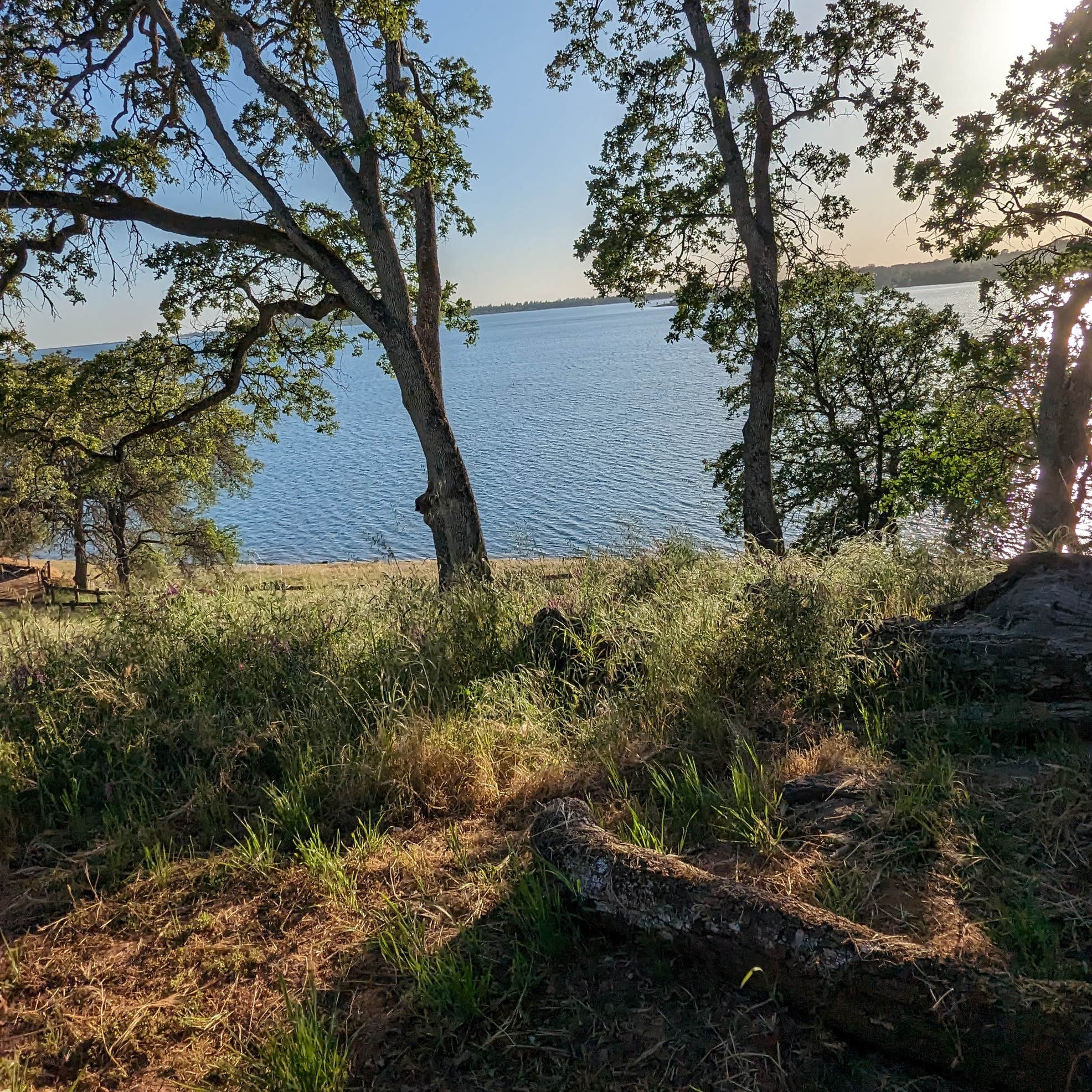 Peninsula Campground — Folsom Lake State Recreation Area | Granite Bay ...