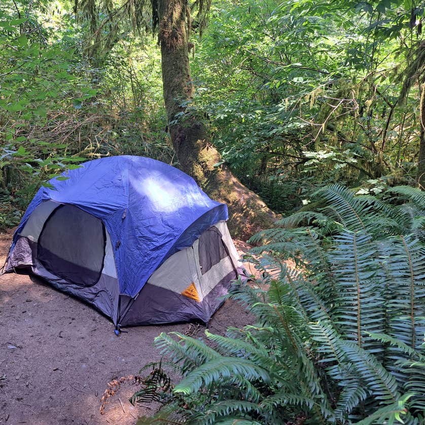Elk Prairie Campground — Prairie Creek Redwoods State Park | Orick ...