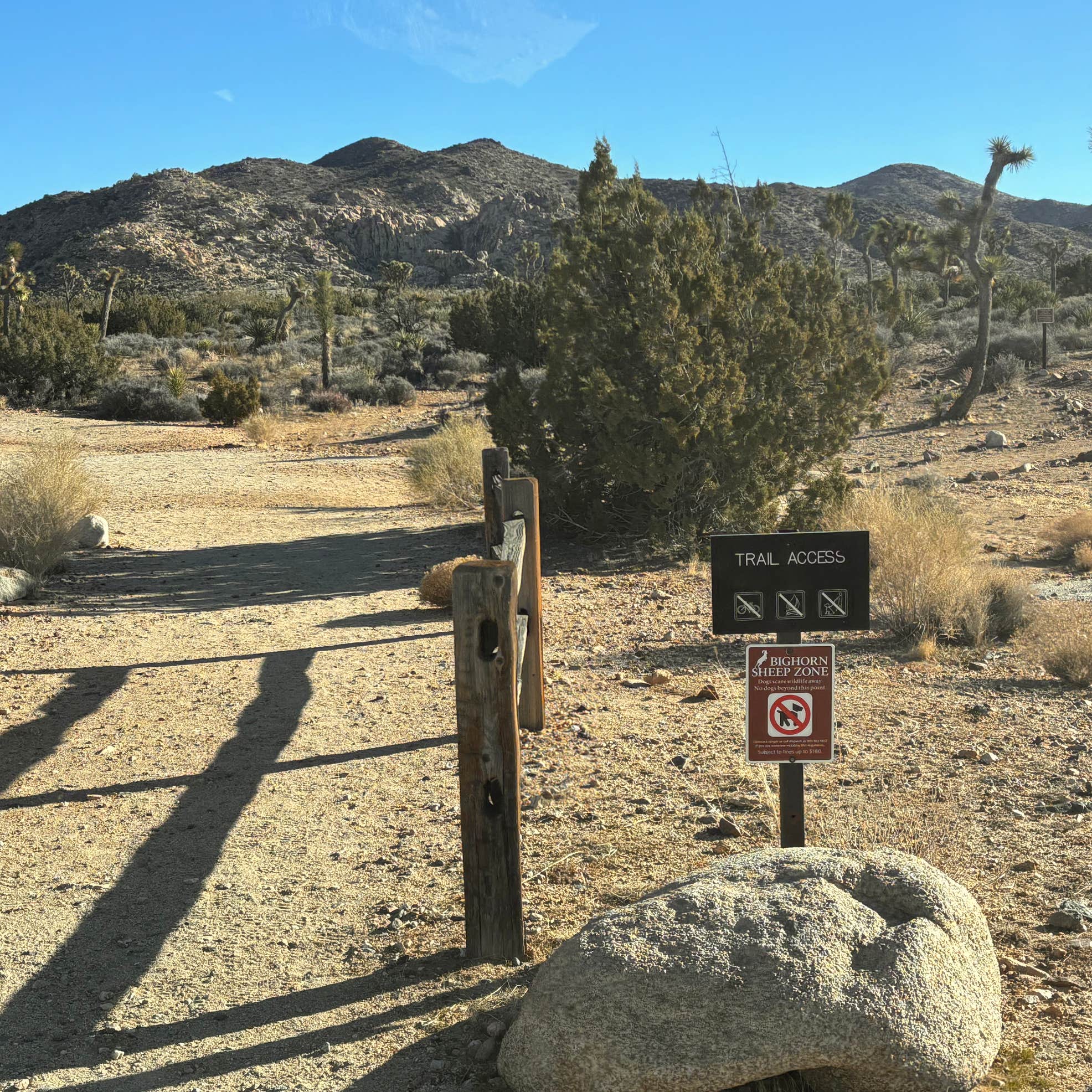 Ryan Campground — Joshua Tree National Park | Twentynine Palms, California