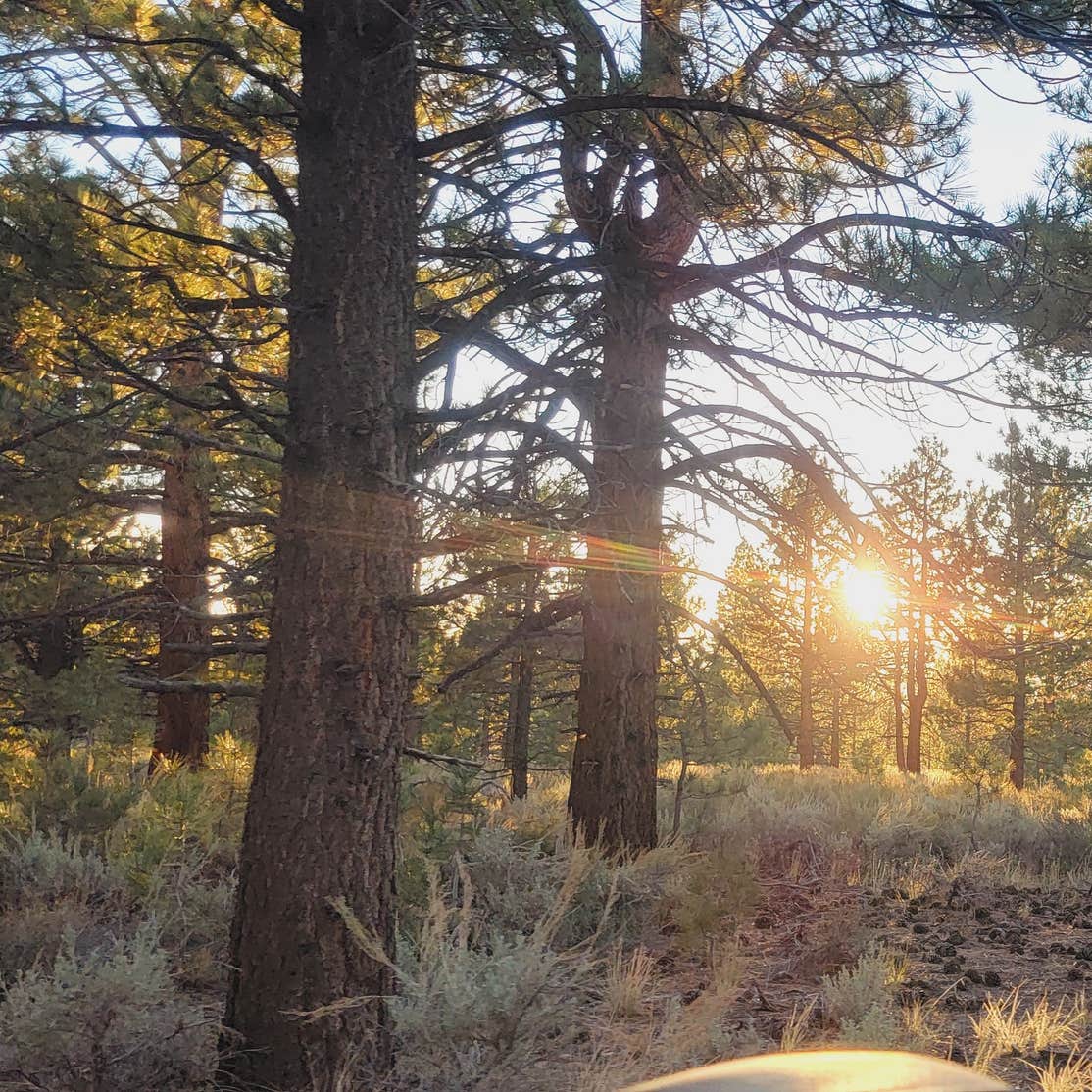 Sagehen Meadows Campground | June Lake, California