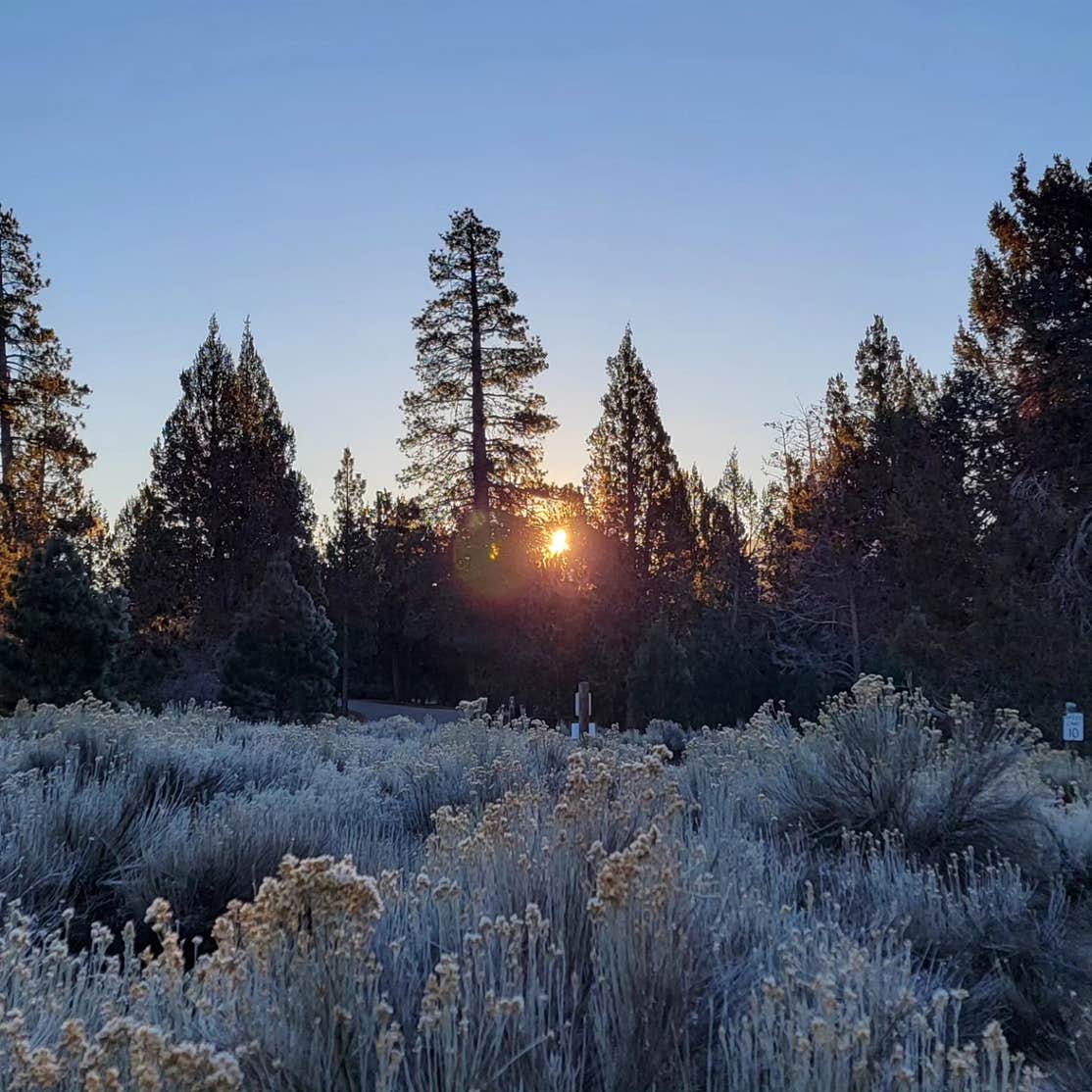 Serrano Camping | Big Bear Lake, California