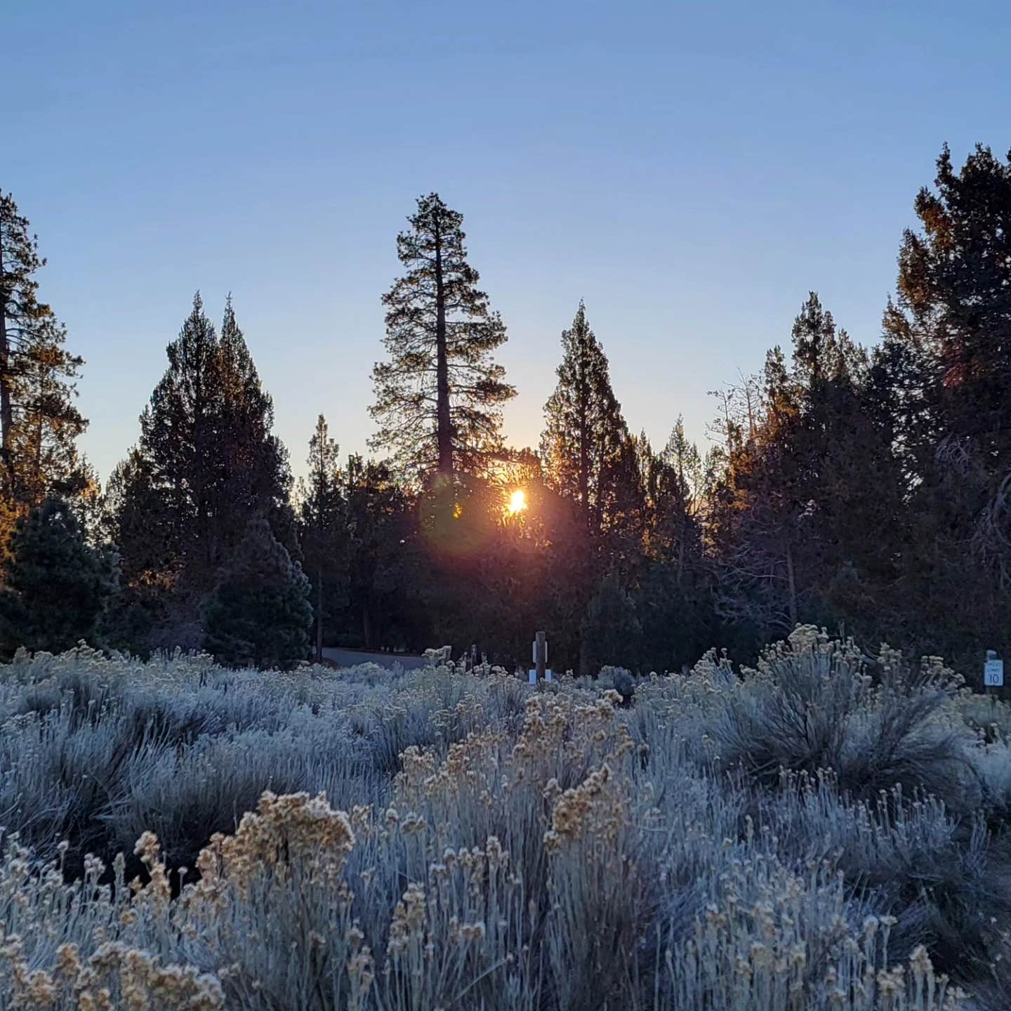 Serrano Camping | Big Bear Lake, California