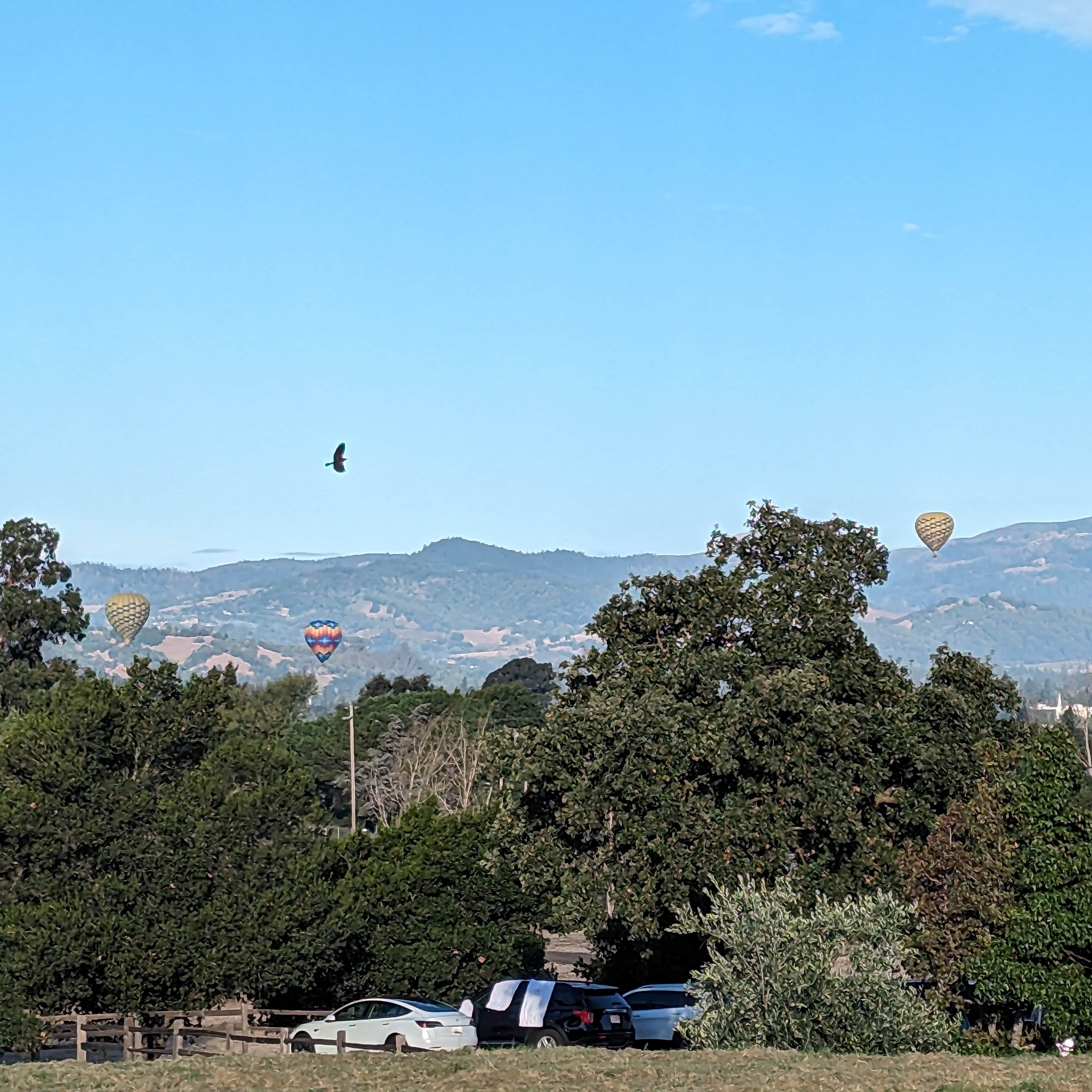 Skyline Wilderness Park Camping | Napa, California