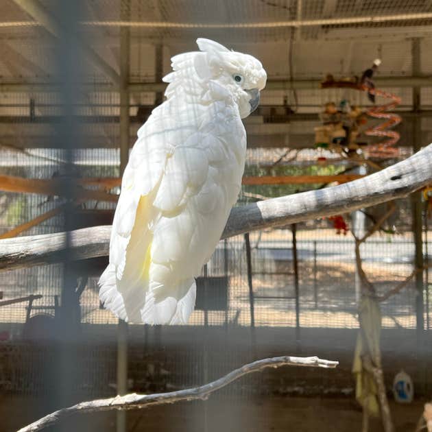 Steckel Park Camping | Santa Paula, CA