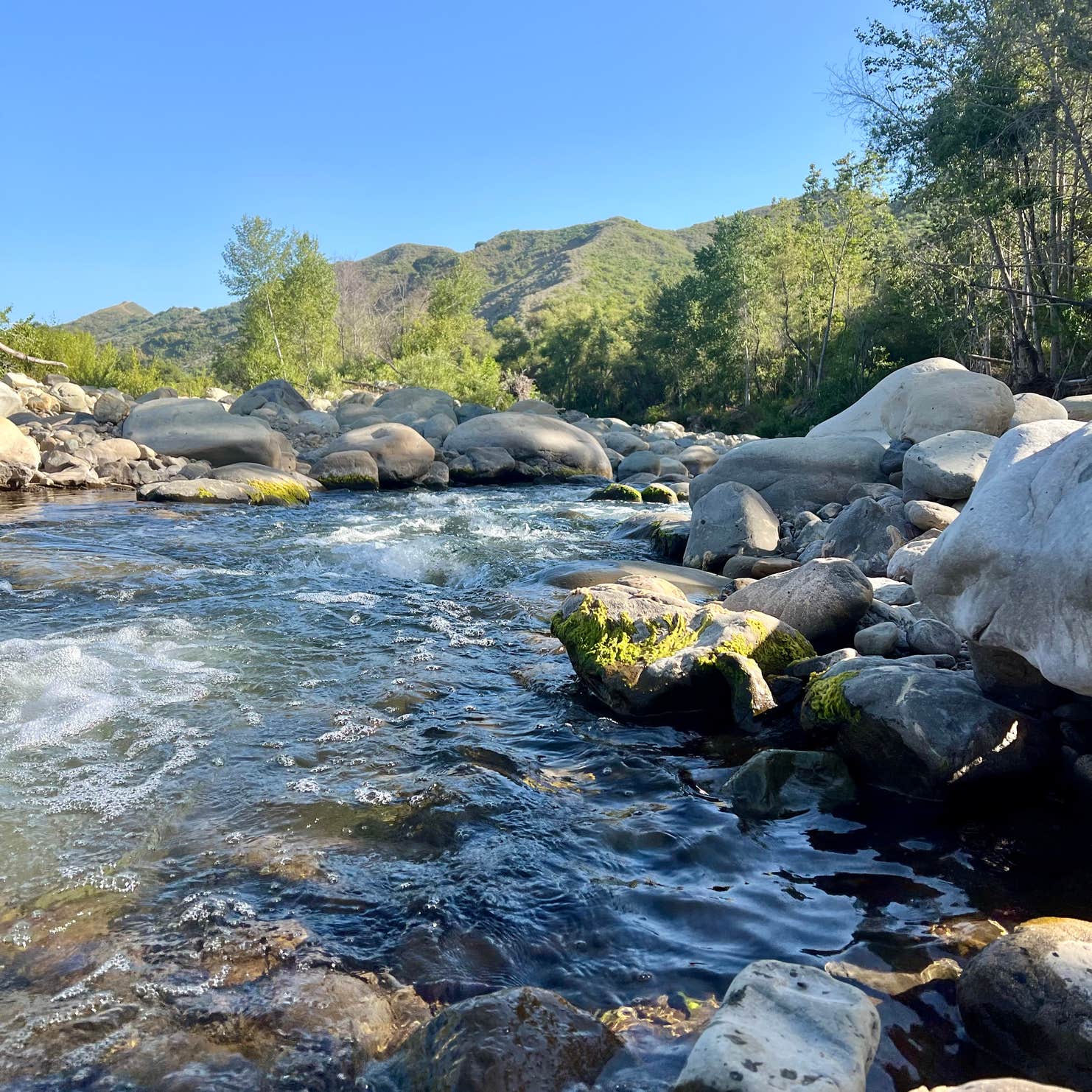 Steckel Park Camping | Santa Paula, California