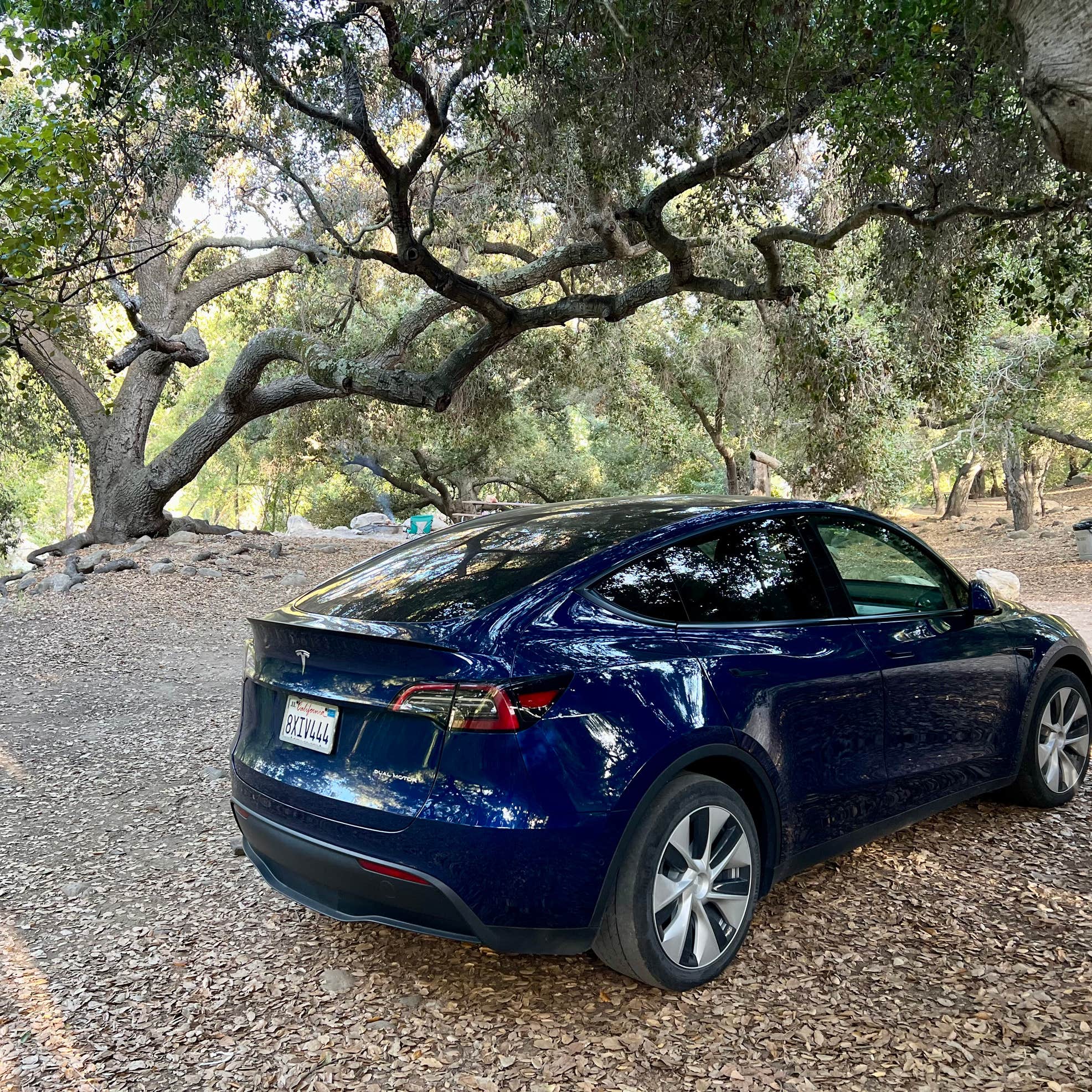 Steckel Park Camping | Santa Paula, California