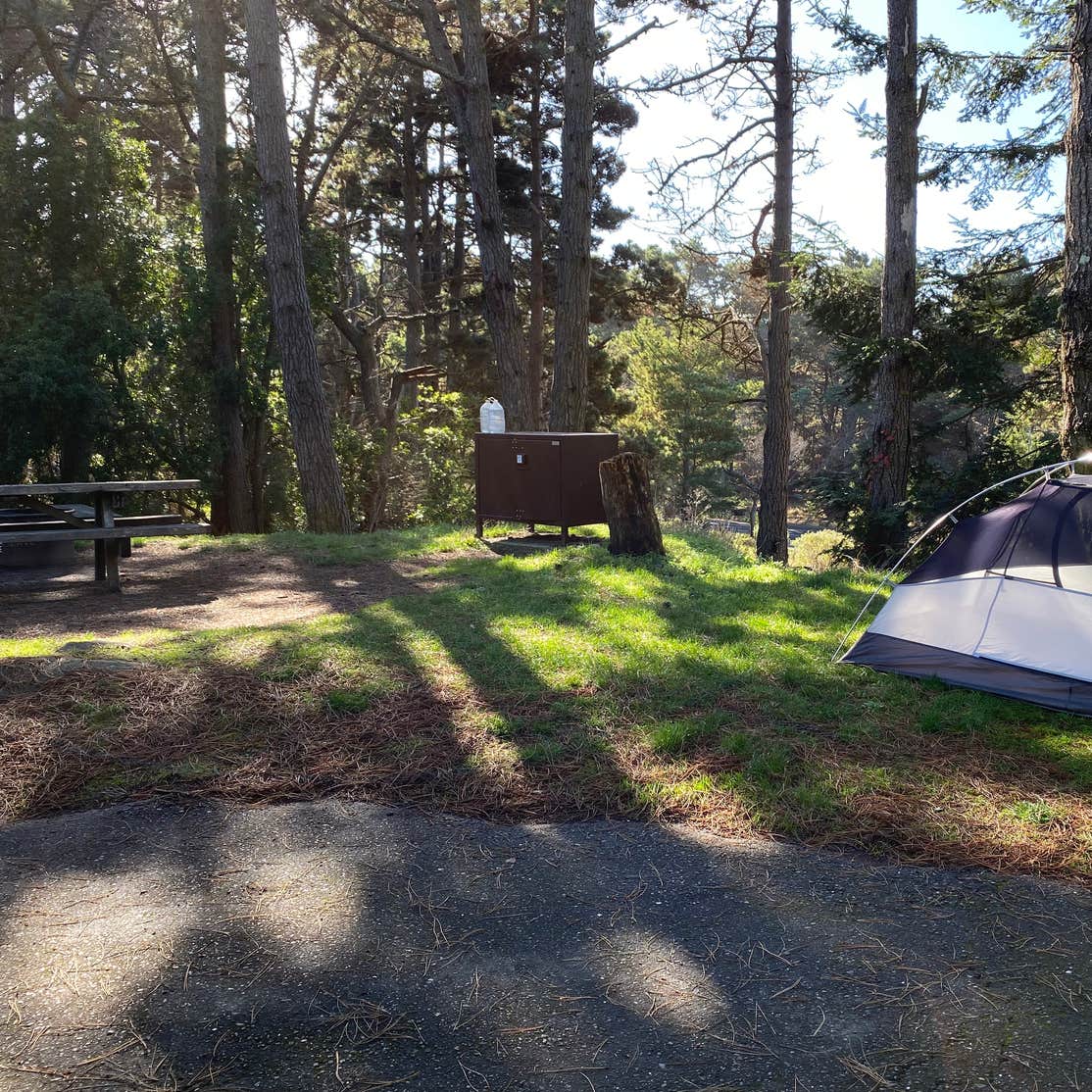 Stillwater Cove Regional Park Camping | Jenner, CA