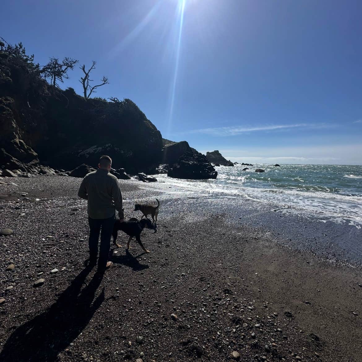 Stillwater Cove Regional Park Camping | Cazadero, California