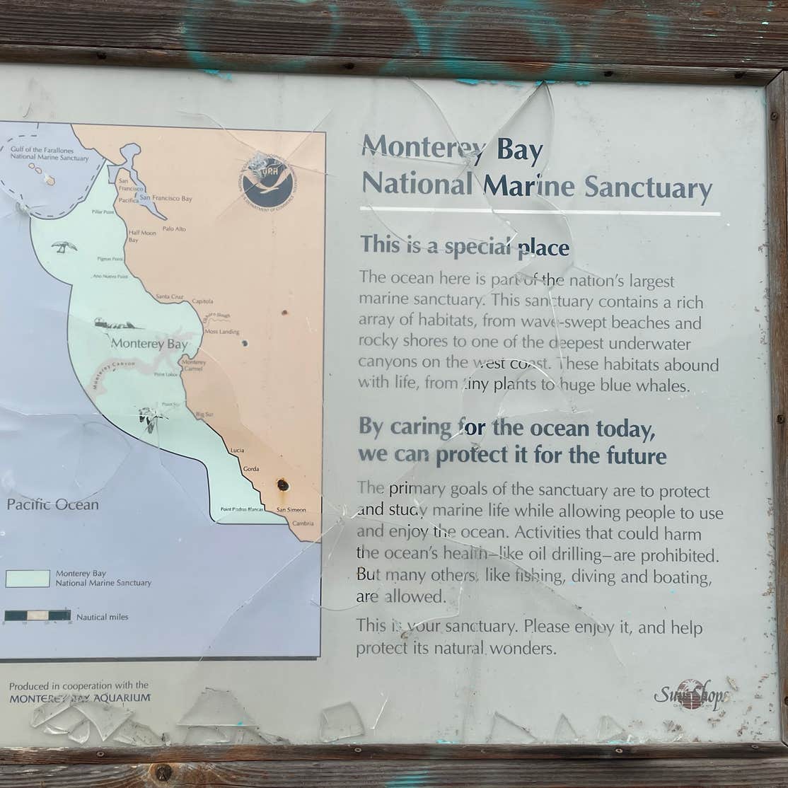 Sunset State Beach Camping | Watsonville, CA