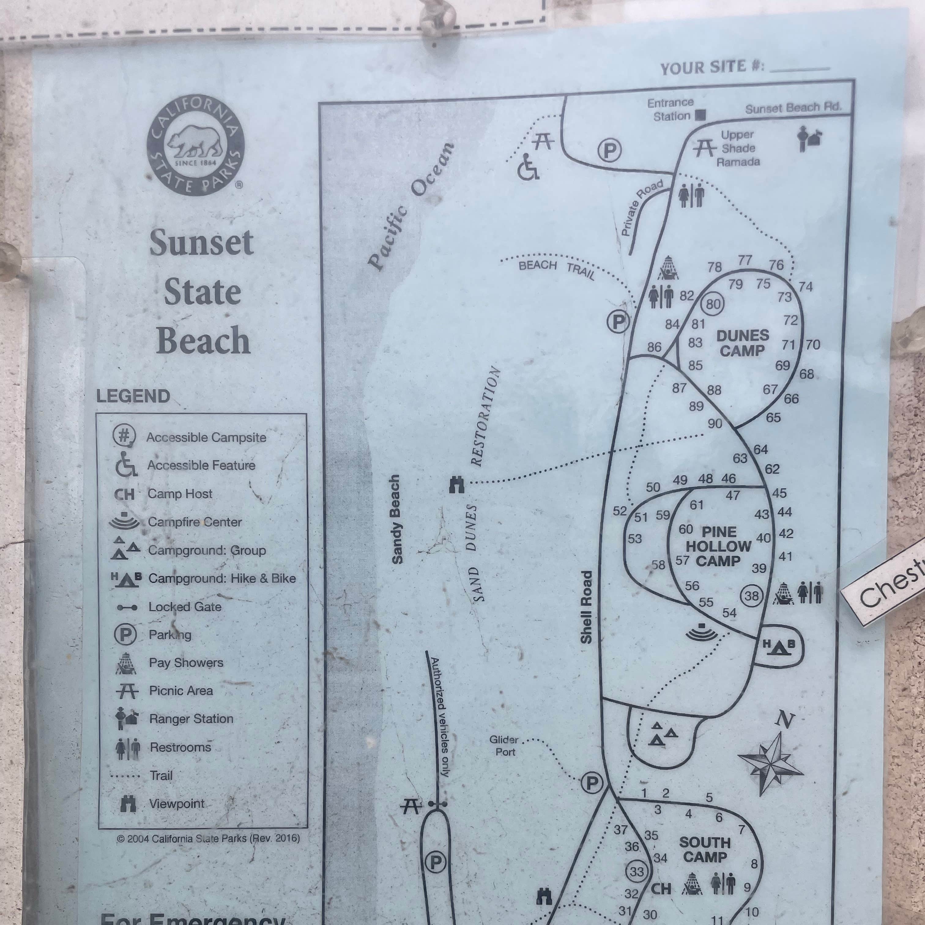 Sunset State Beach Camping | Watsonville, California