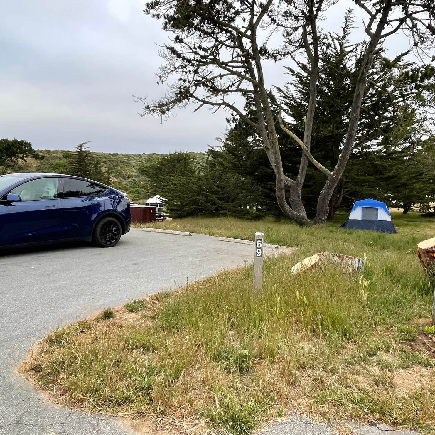 Sunset State Beach Camping | Watsonville, California