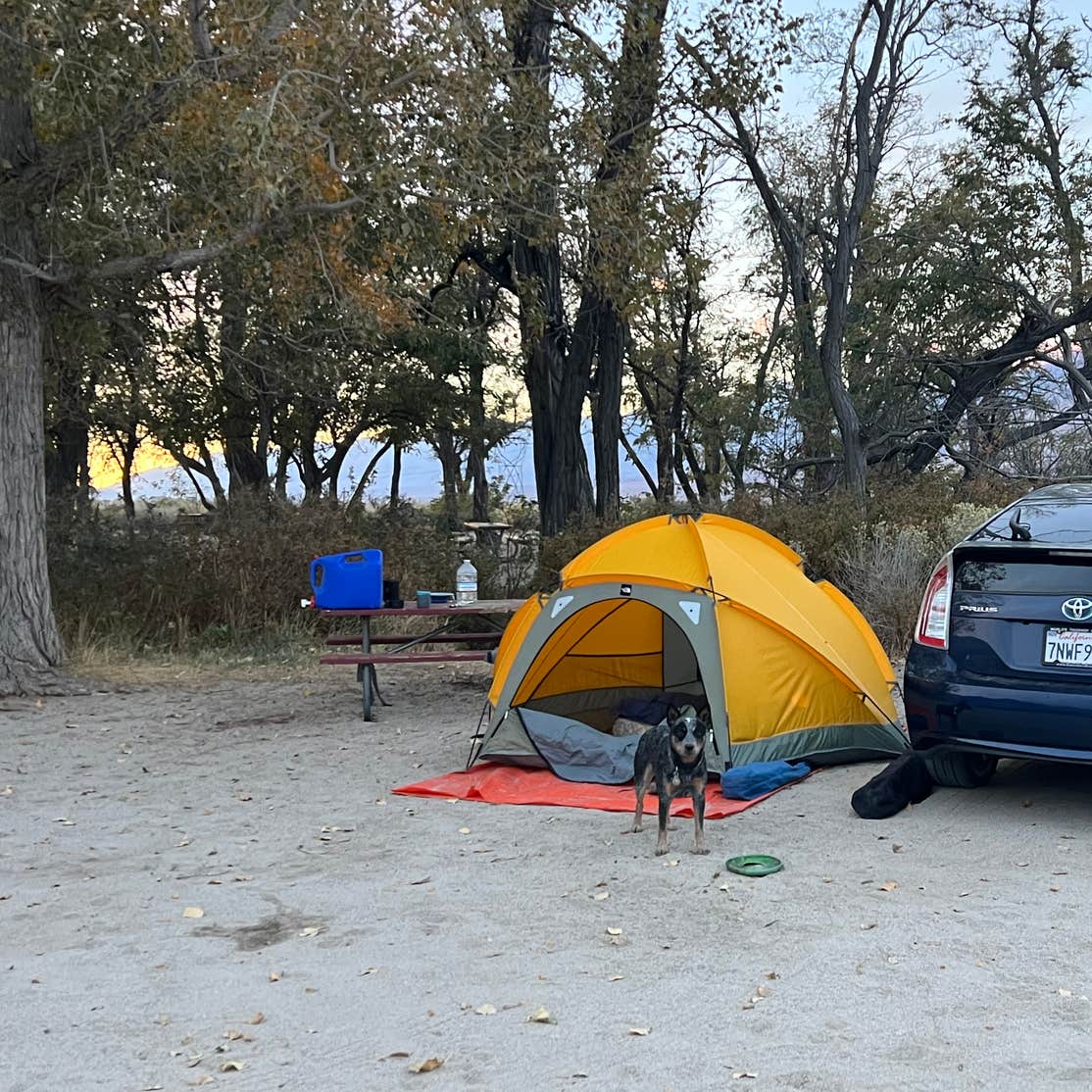 Taboose Creek Campground | Big Pine, California