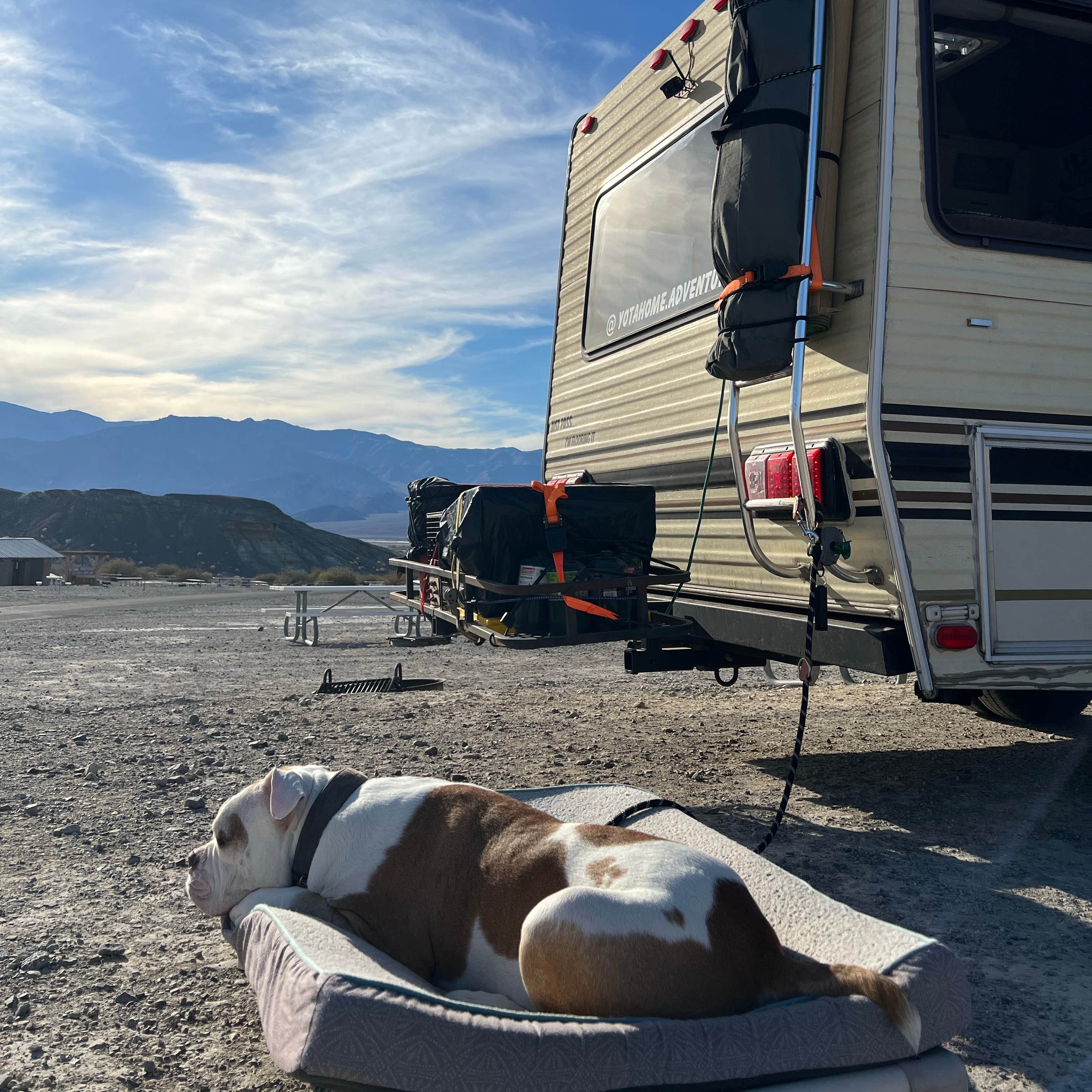 Texas Springs Campground — Death Valley National Park | Amargosa Valley ...