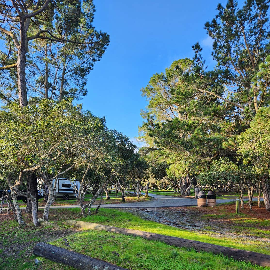 Veteran's Memorial Park Campground | Monterey, CA