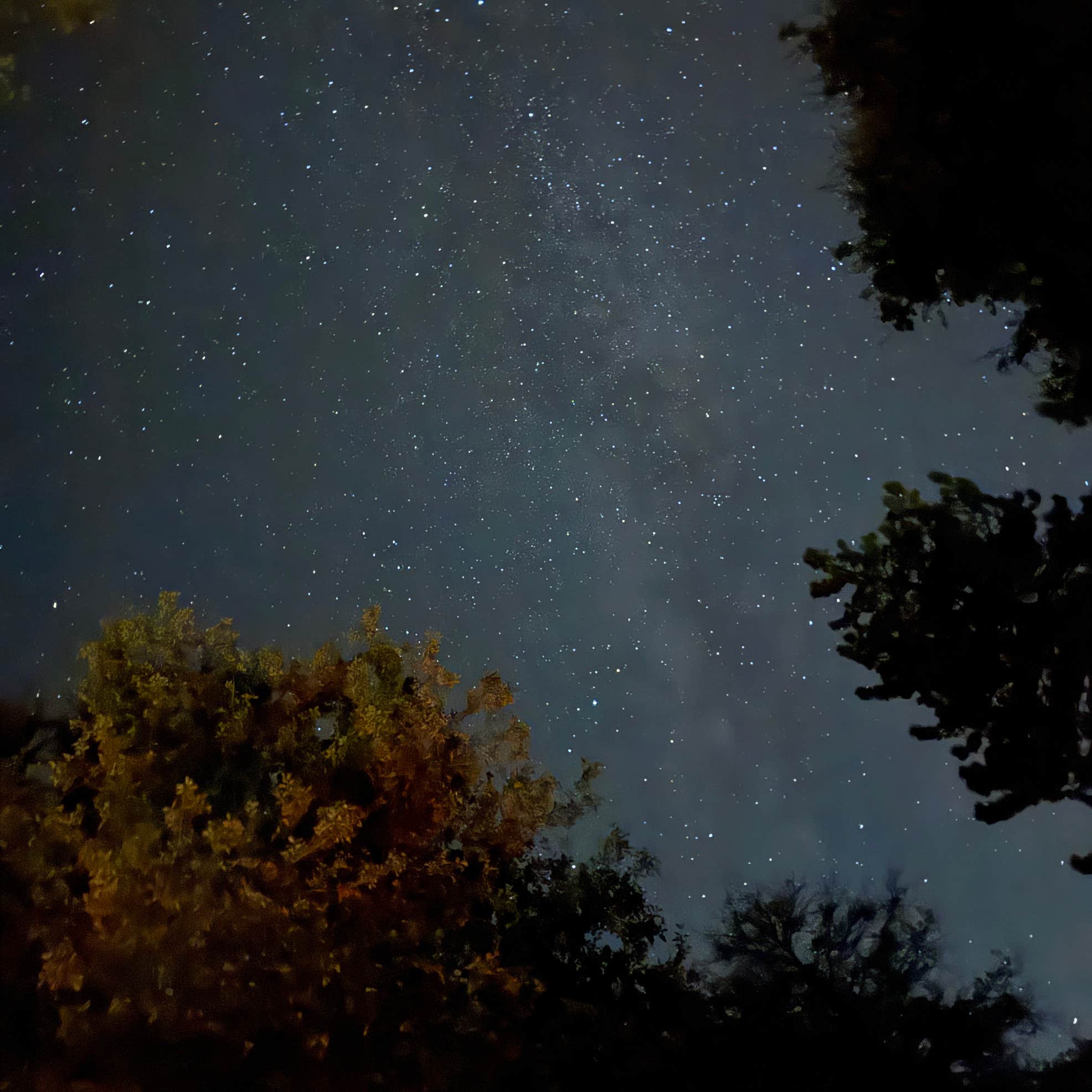 William Heise County Park Camping | Julian, California