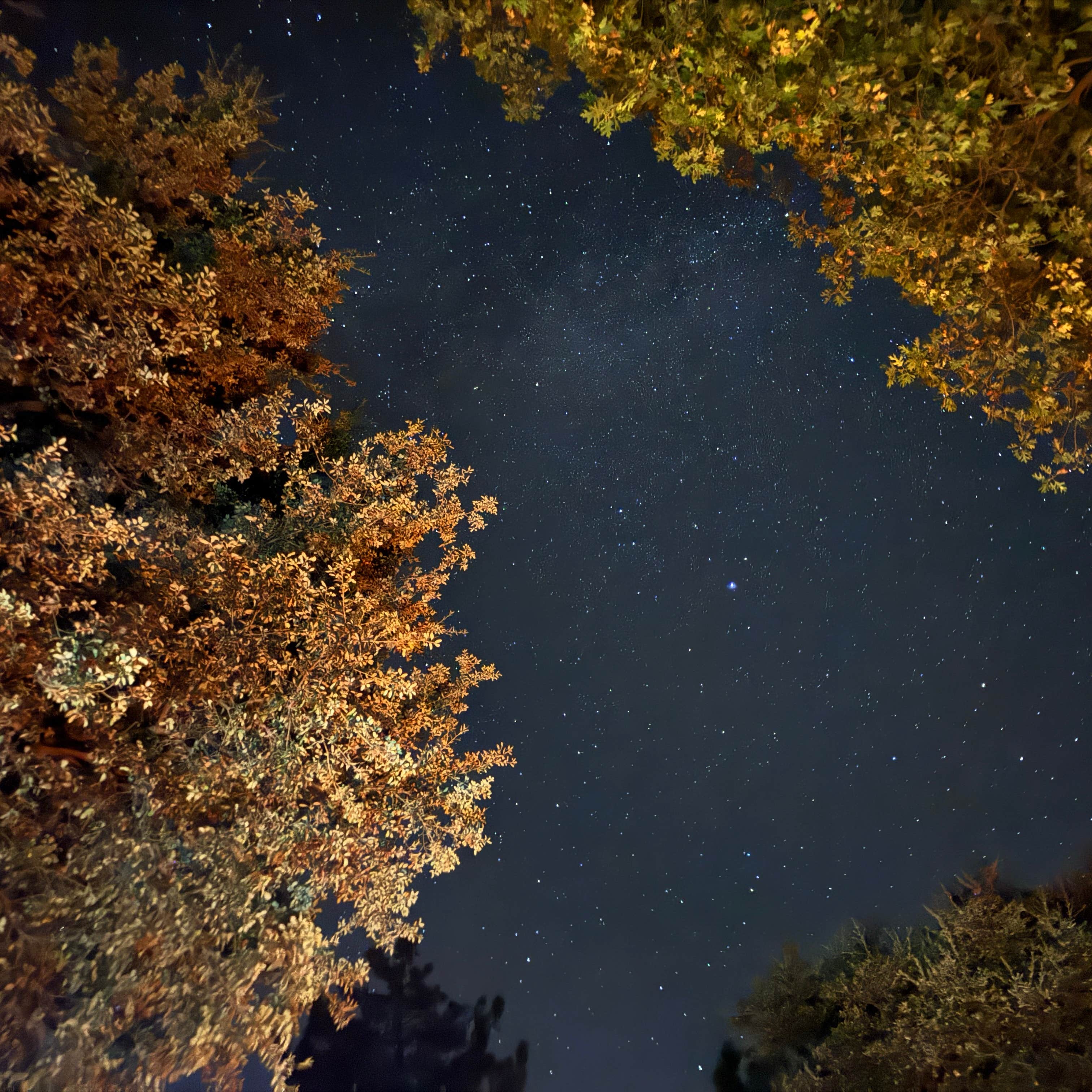 William Heise County Park Camping | Julian, California